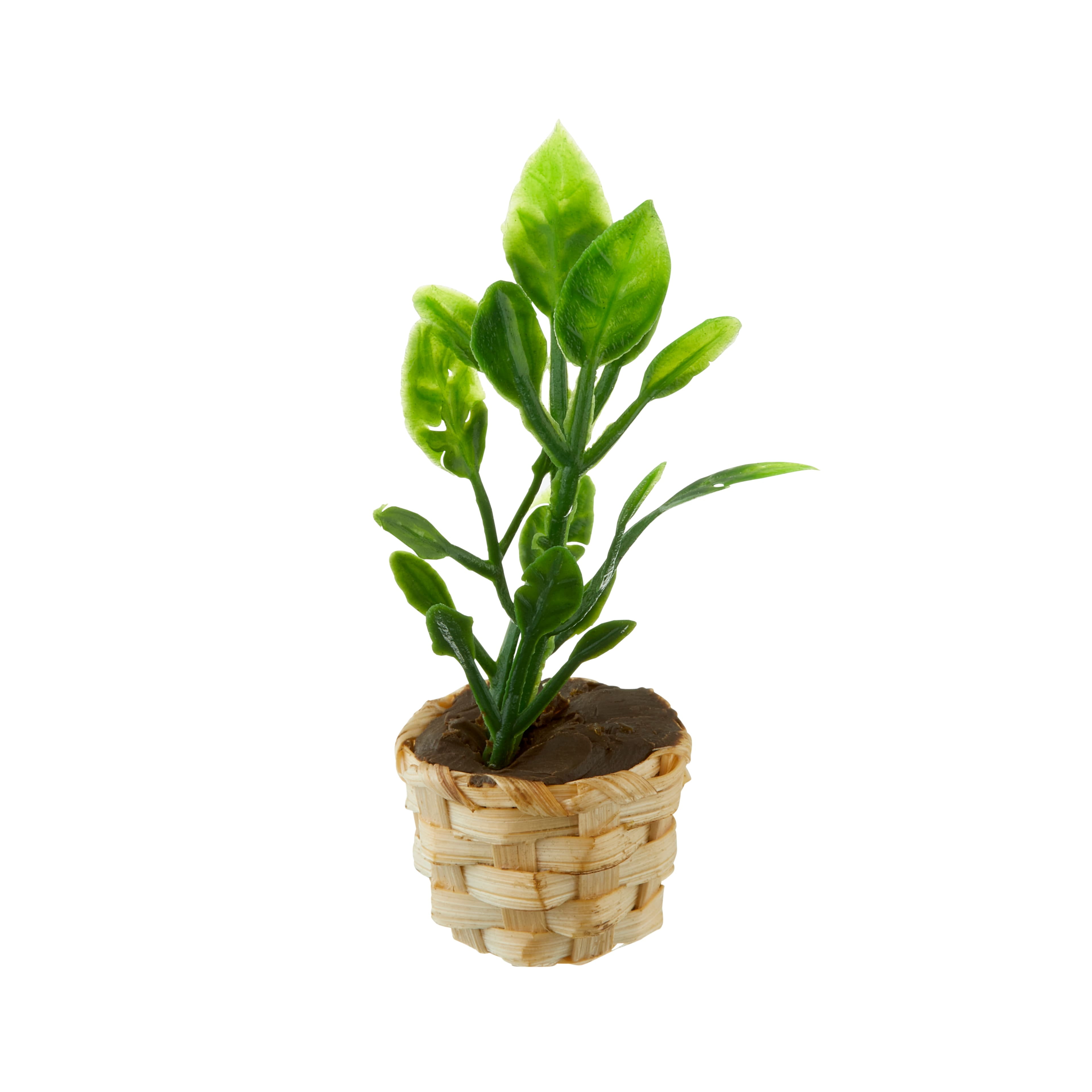 12 Pack: Mini Potted Plant by Make Market® - Walmart.com
