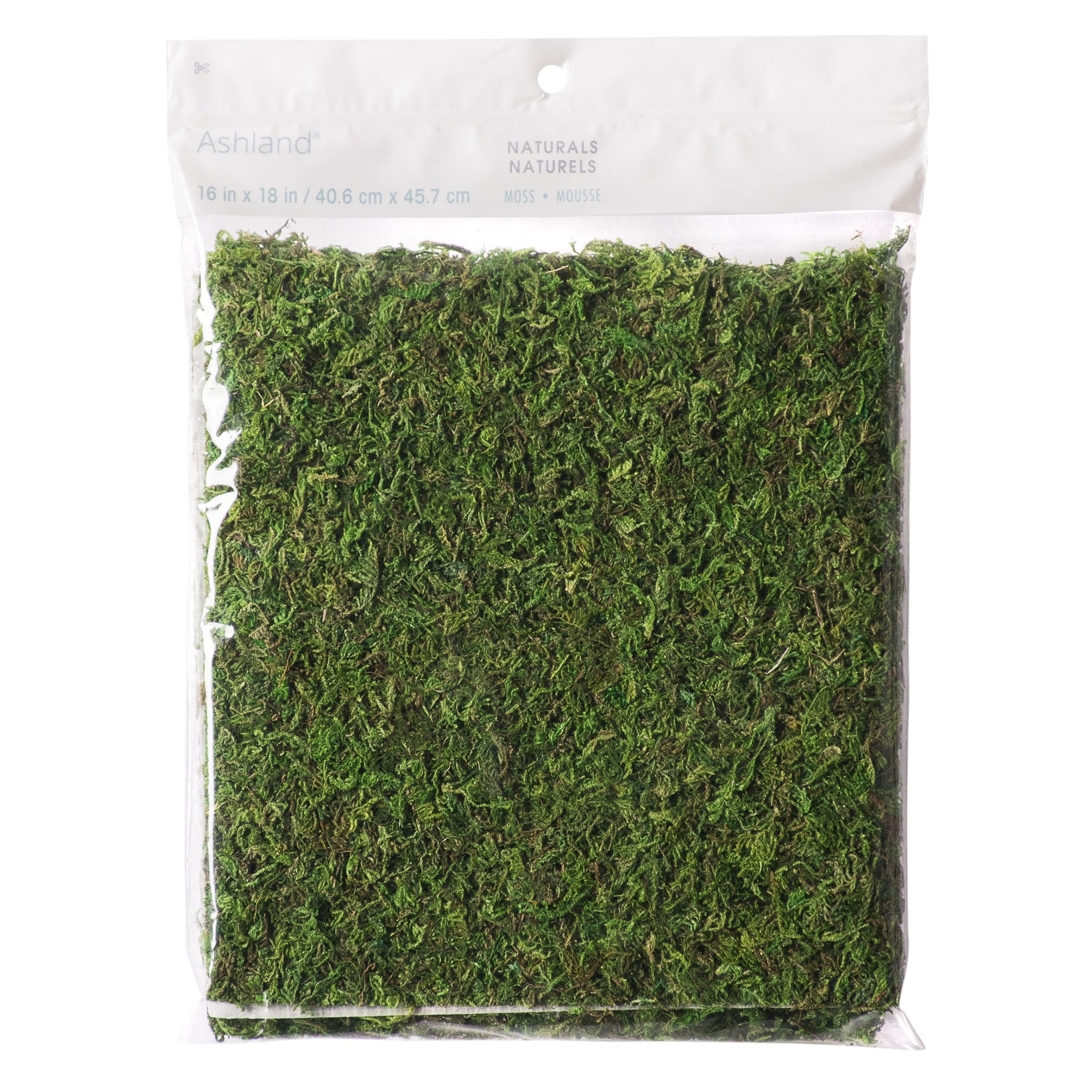 12 Pack: Moss Mat by Ashland® - Walmart.com