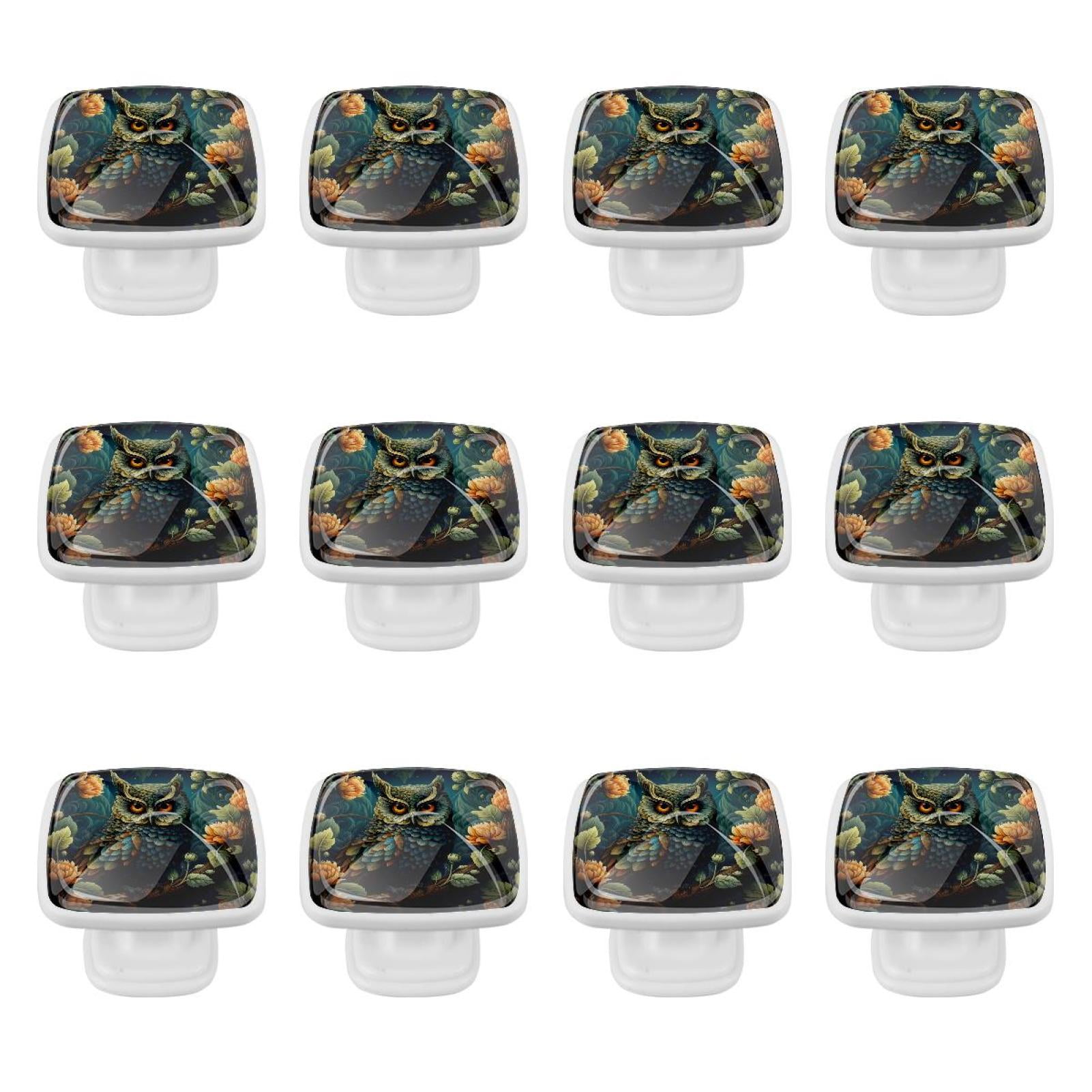 12 Pack Owl Square Cabinet Knobs Kitchen Cabinet Pulls Cupboard Handles ...