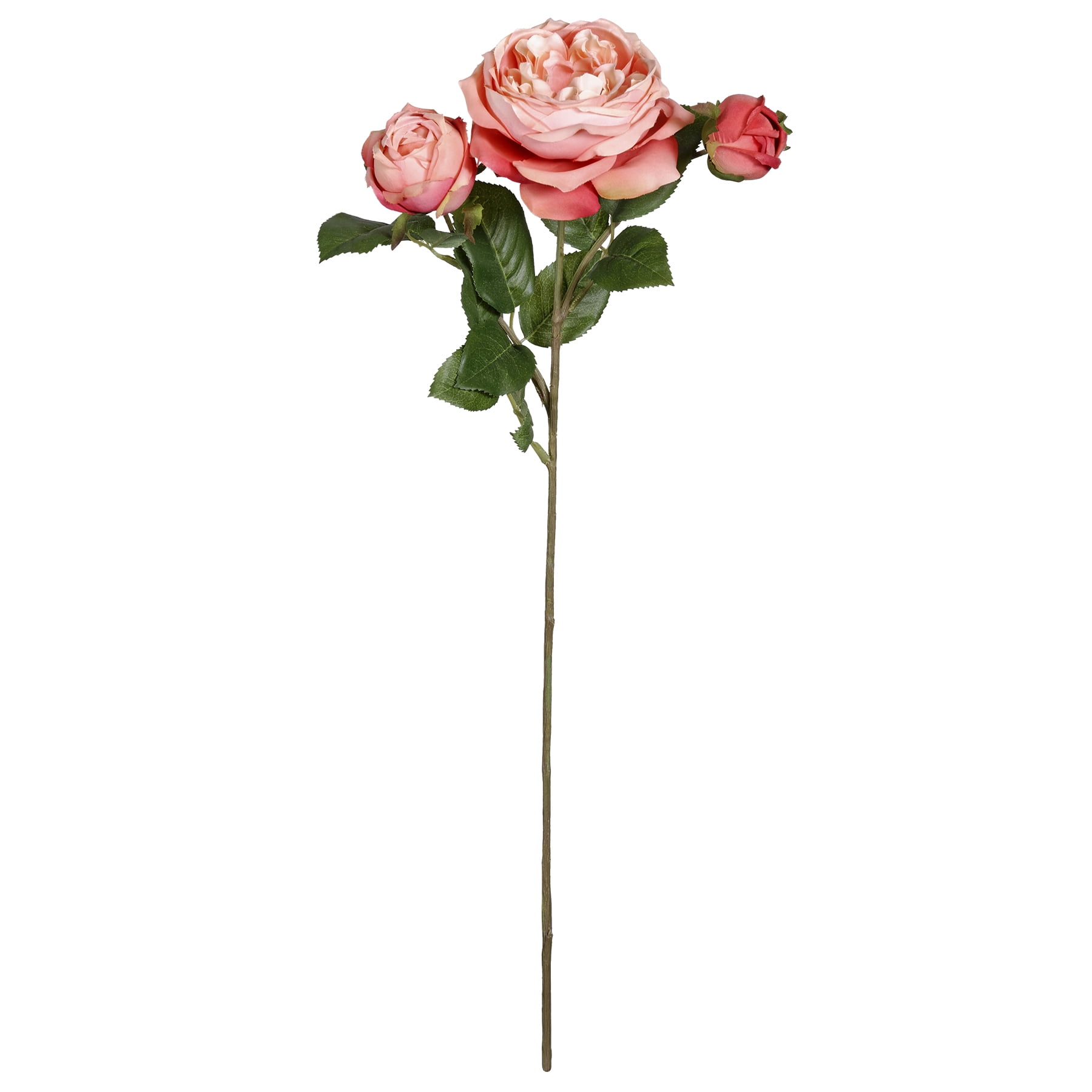 12 Pack: Pink Coral English Rose Stem by Ashland® - Walmart.com