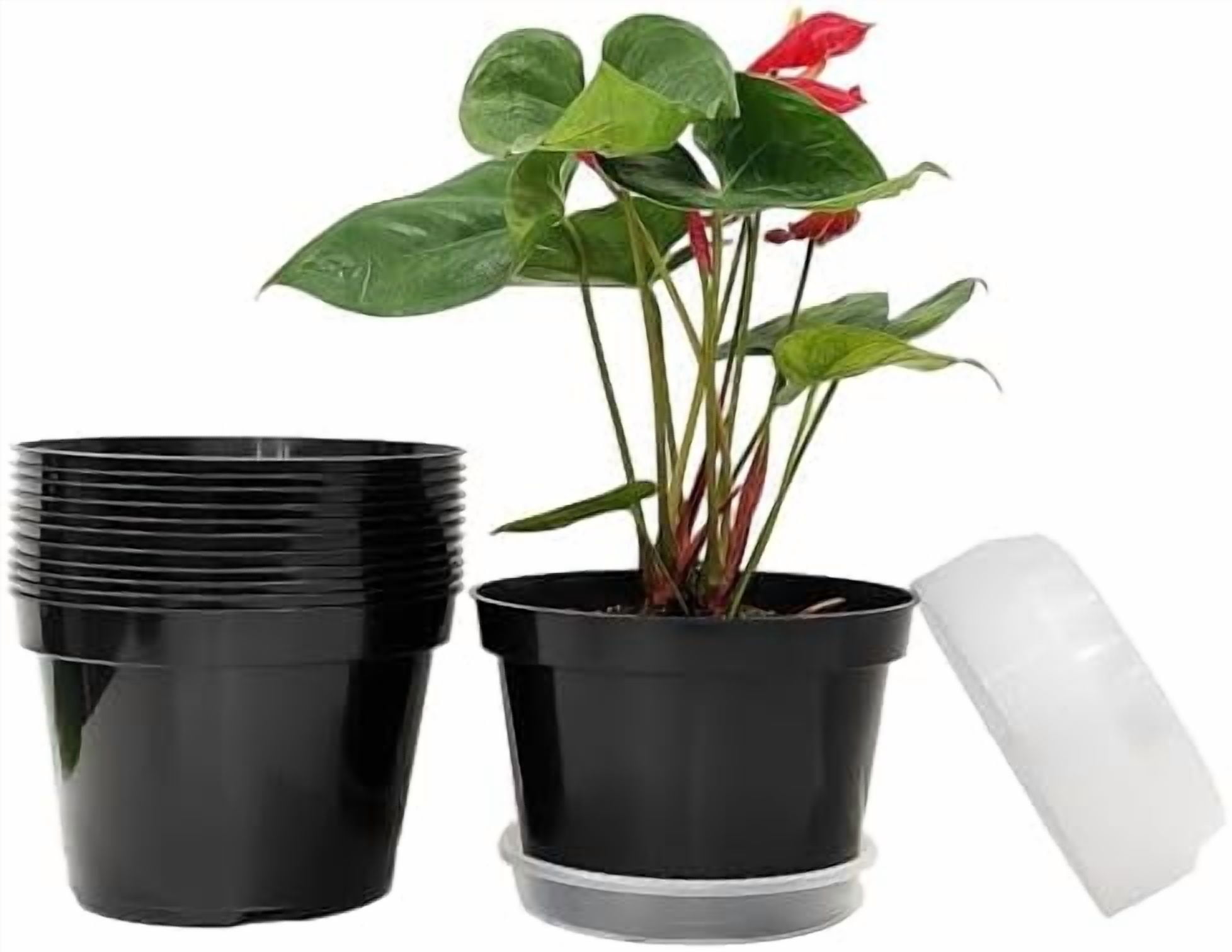 12 Pack Plant Pots, 8 Inch Plant Planter with Clear Saucer, Plastic ...