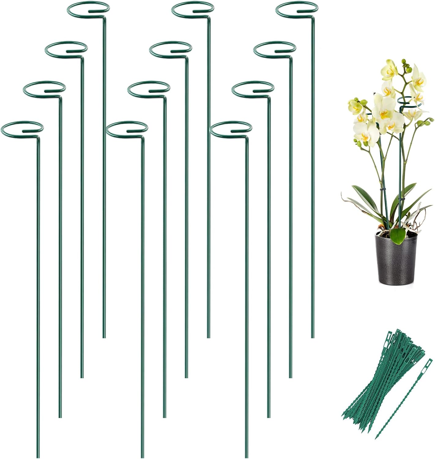 12 Pack Plant Support Stakes 24 Inch, Plant Stakes, Flower Stakes with ...