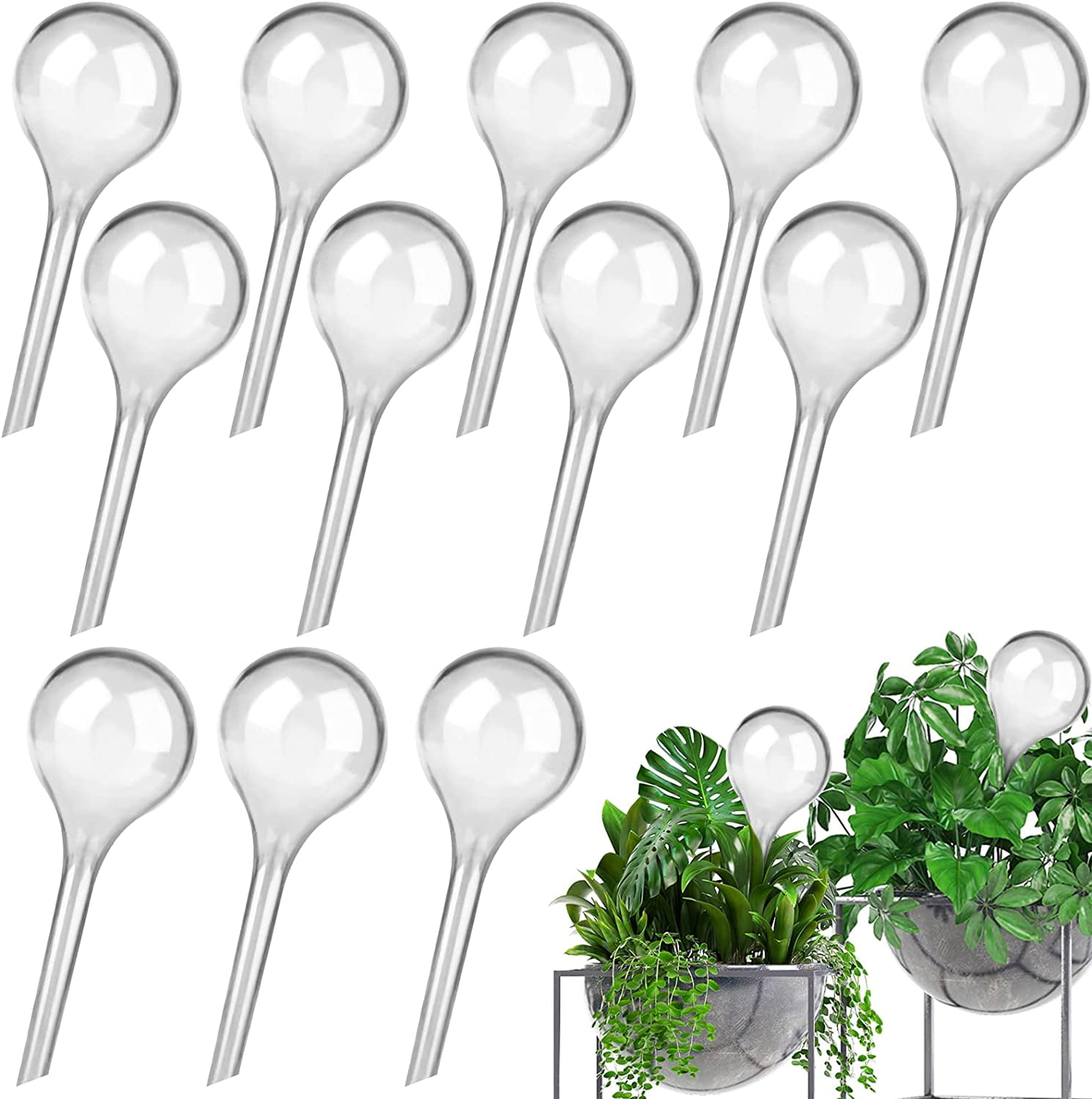 12 Pack Plant Watering Globes Automatic Watering Globes Plant Self ...