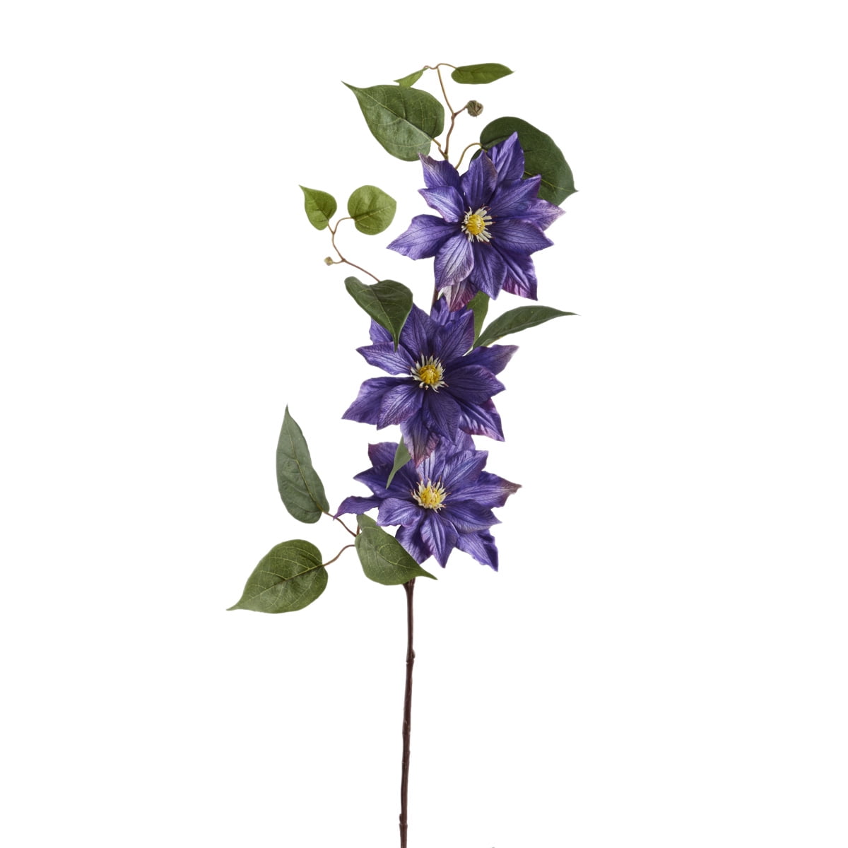 12 Pack: Purple Clematis Stem by Ashland® - Walmart.com