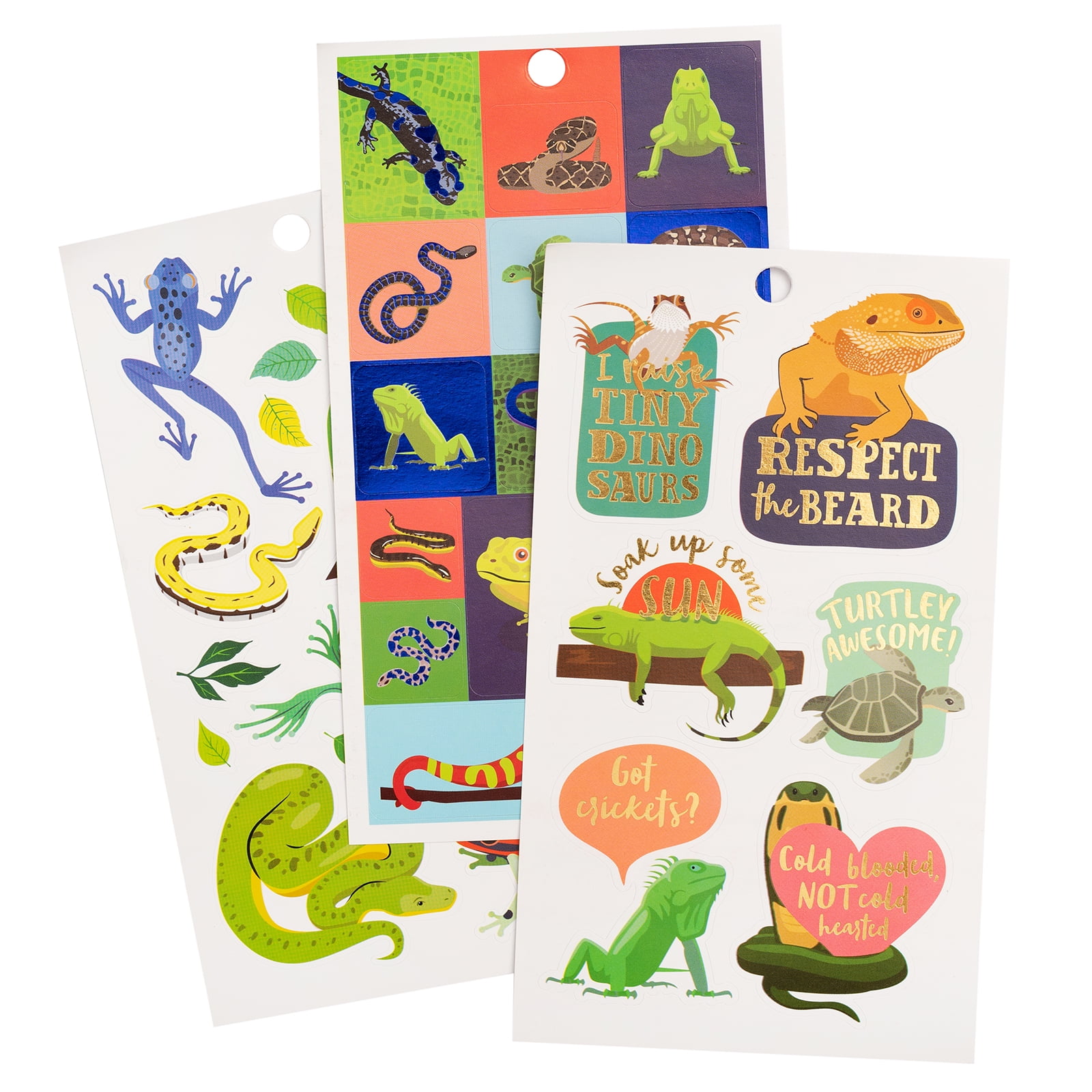 12 Pack: Reptiles Sticker Book by Recollections™ - Walmart.com