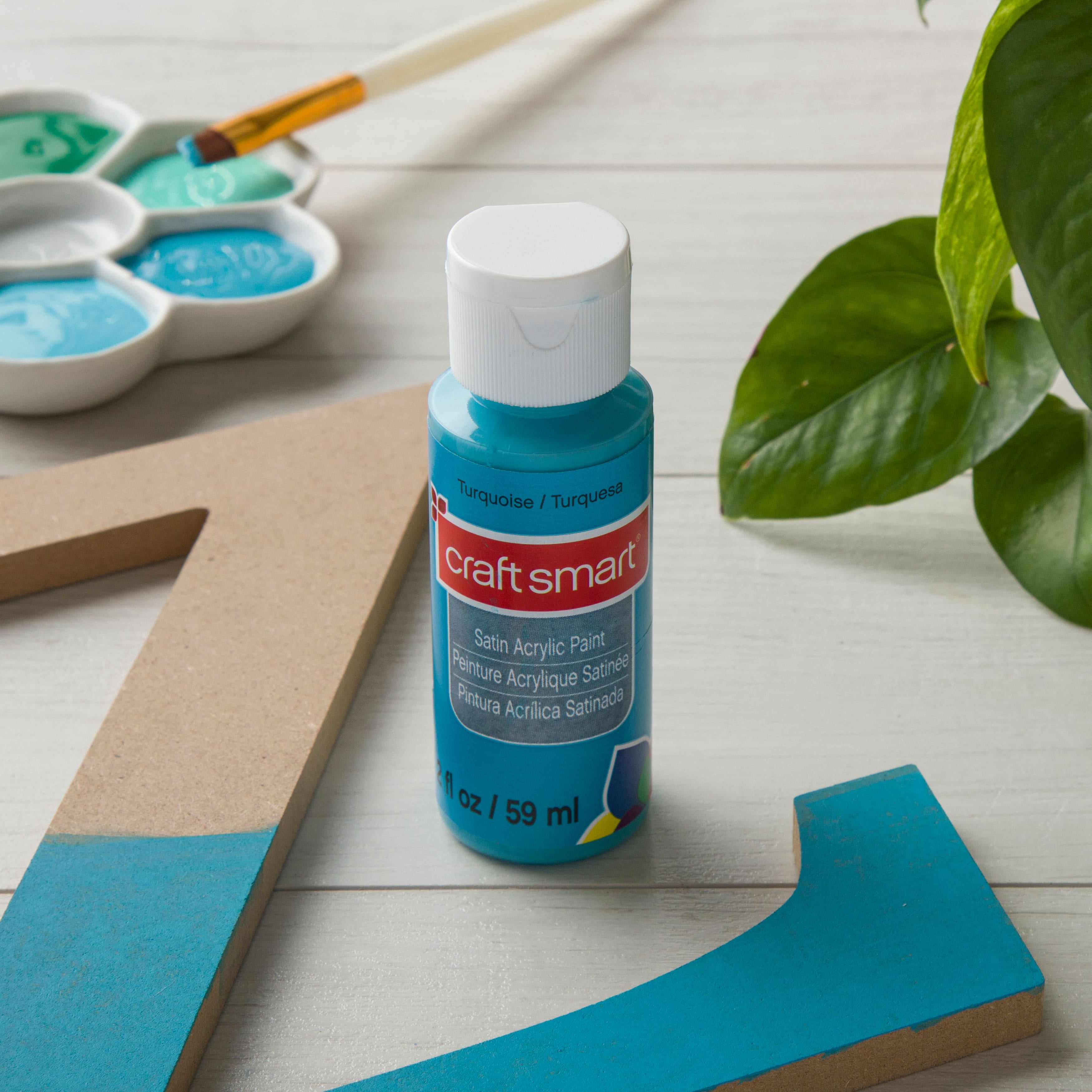12 Pack: Satin Acrylic Paint by Craft Smart® - 2oz. - Walmart.com
