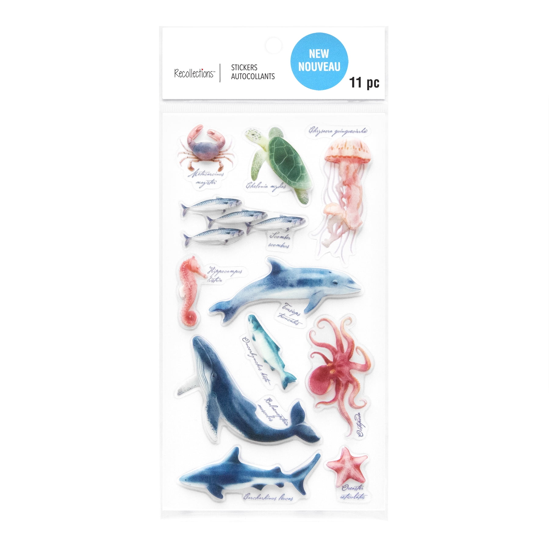 12 Pack: Sea Animals Dimensional Stickers by Recollections - Walmart.com