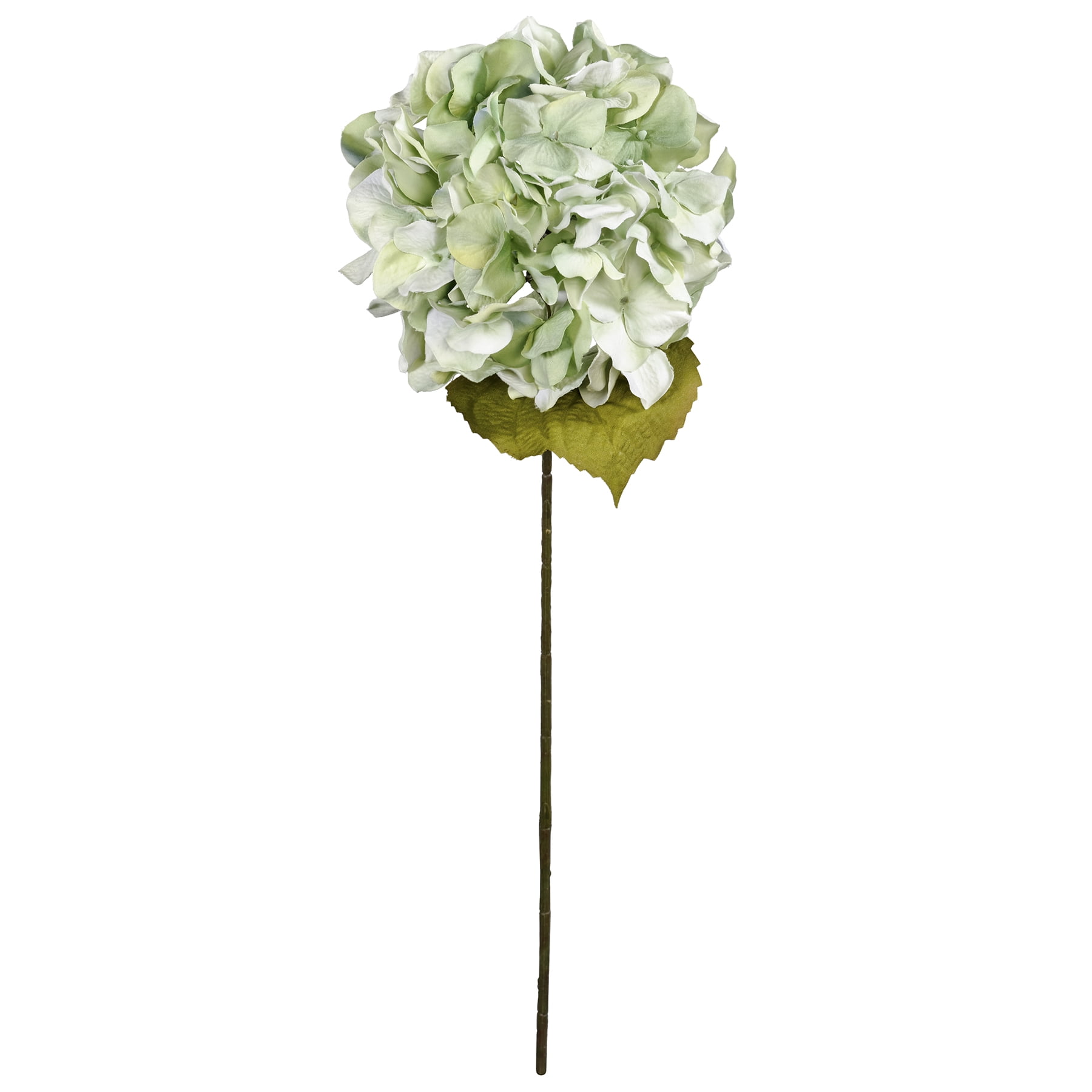 12 Pack: Seafoam Green Hydrangea Stem by Ashland® - Walmart.com