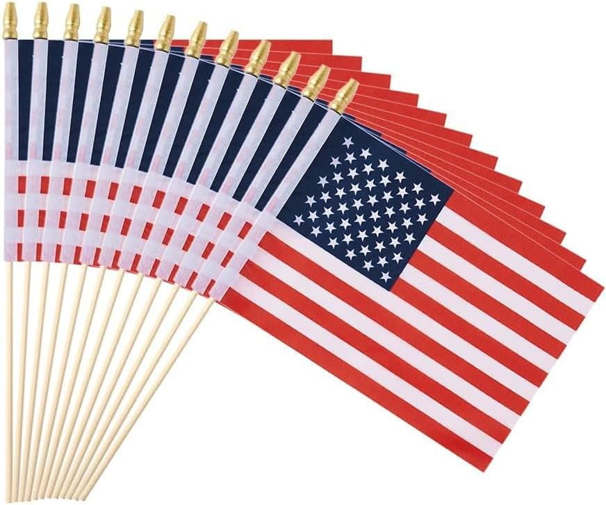 12 Pack Small American Flags on Stick Small US Flags/Mini American Flag ...