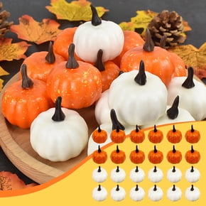 Real Mini White Pumpkins