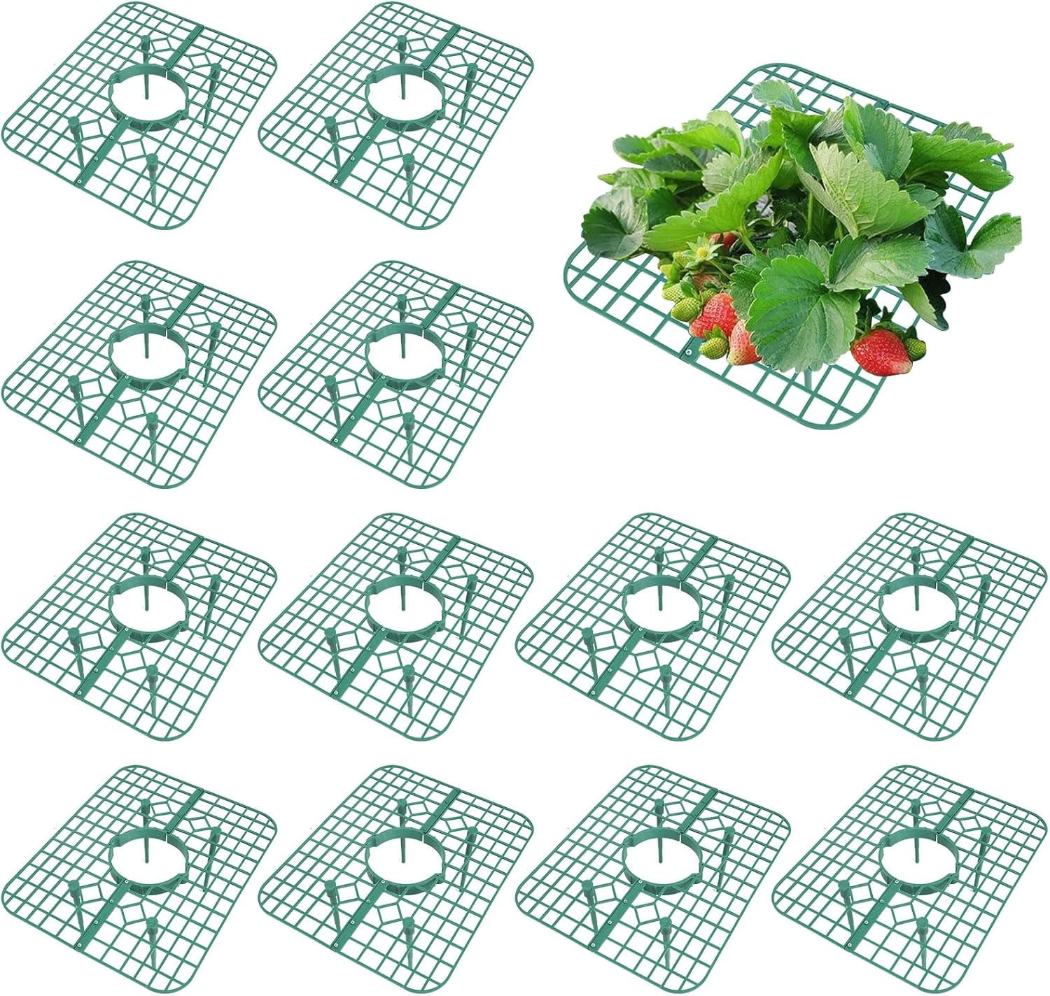 12 Pack Strawberry Plant Support, Strawberry Planting Stand Strawberry ...
