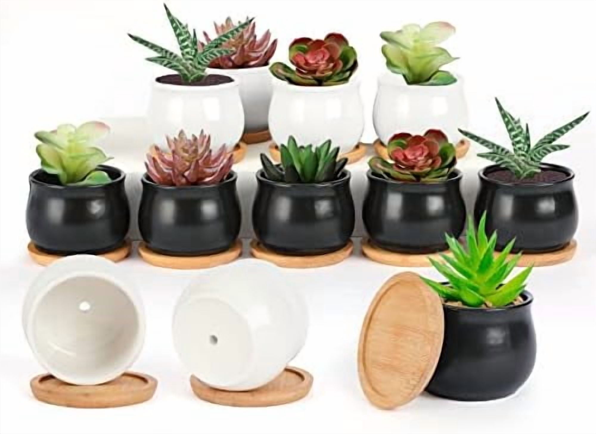 12 Pack Succulent Plant Pot, Mini 2.6 inch Ceramic Flower Planter Pot ...
