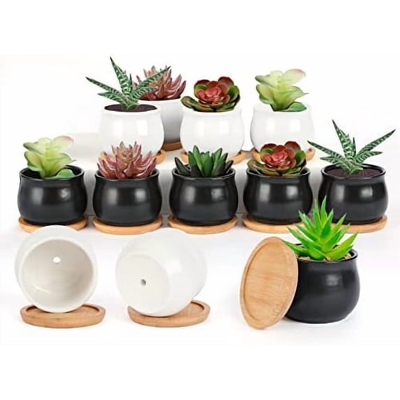 12 Pack Succulent Plant Pot, Mini 2.6 inch Ceramic Flower Planter Pot ...