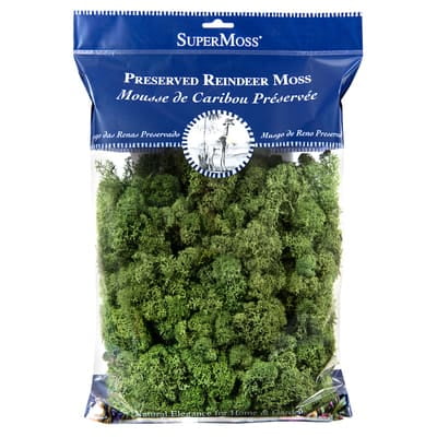 SuperMoss