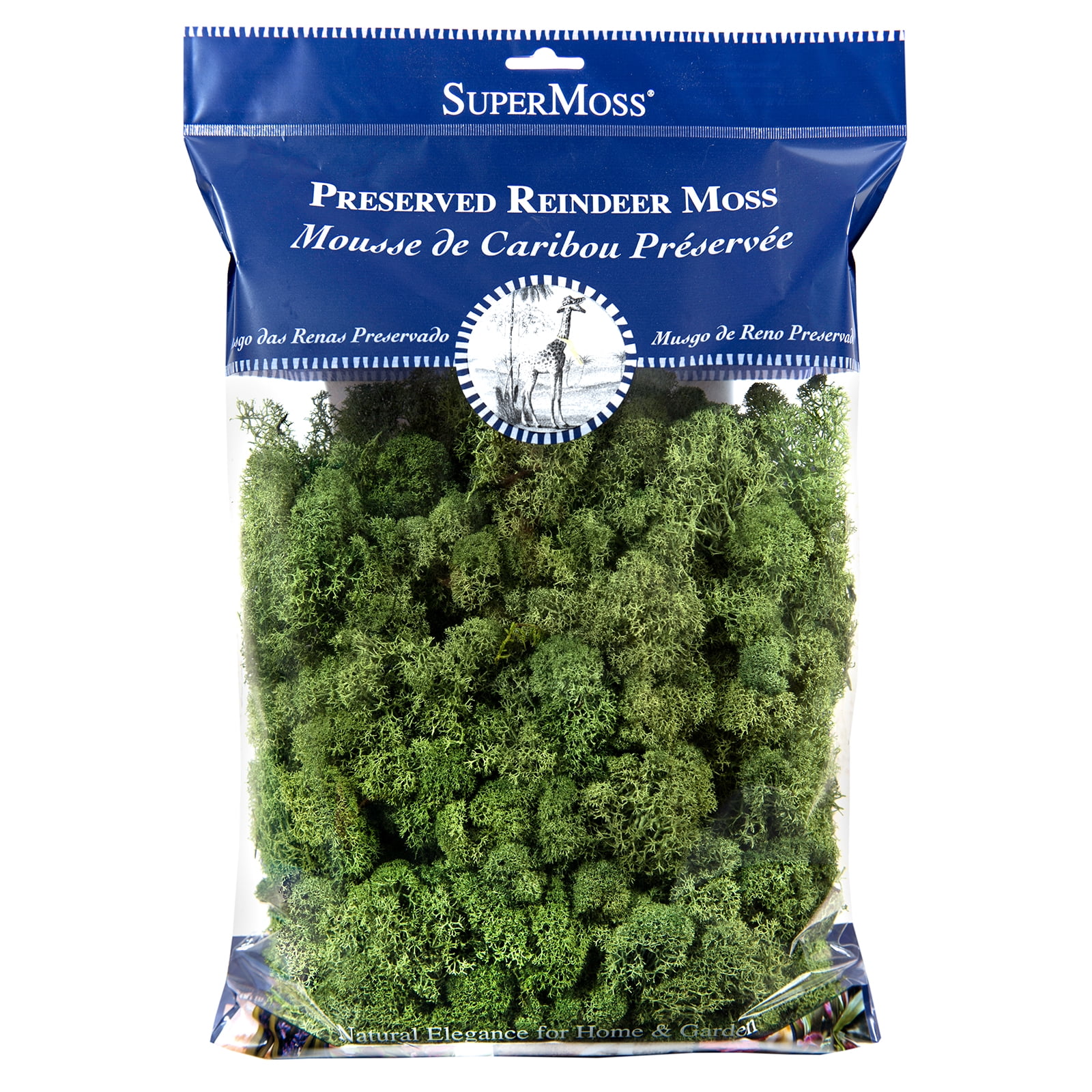 12 Pack: SuperMoss® Preserved Basil Reindeer Moss - Walmart.com