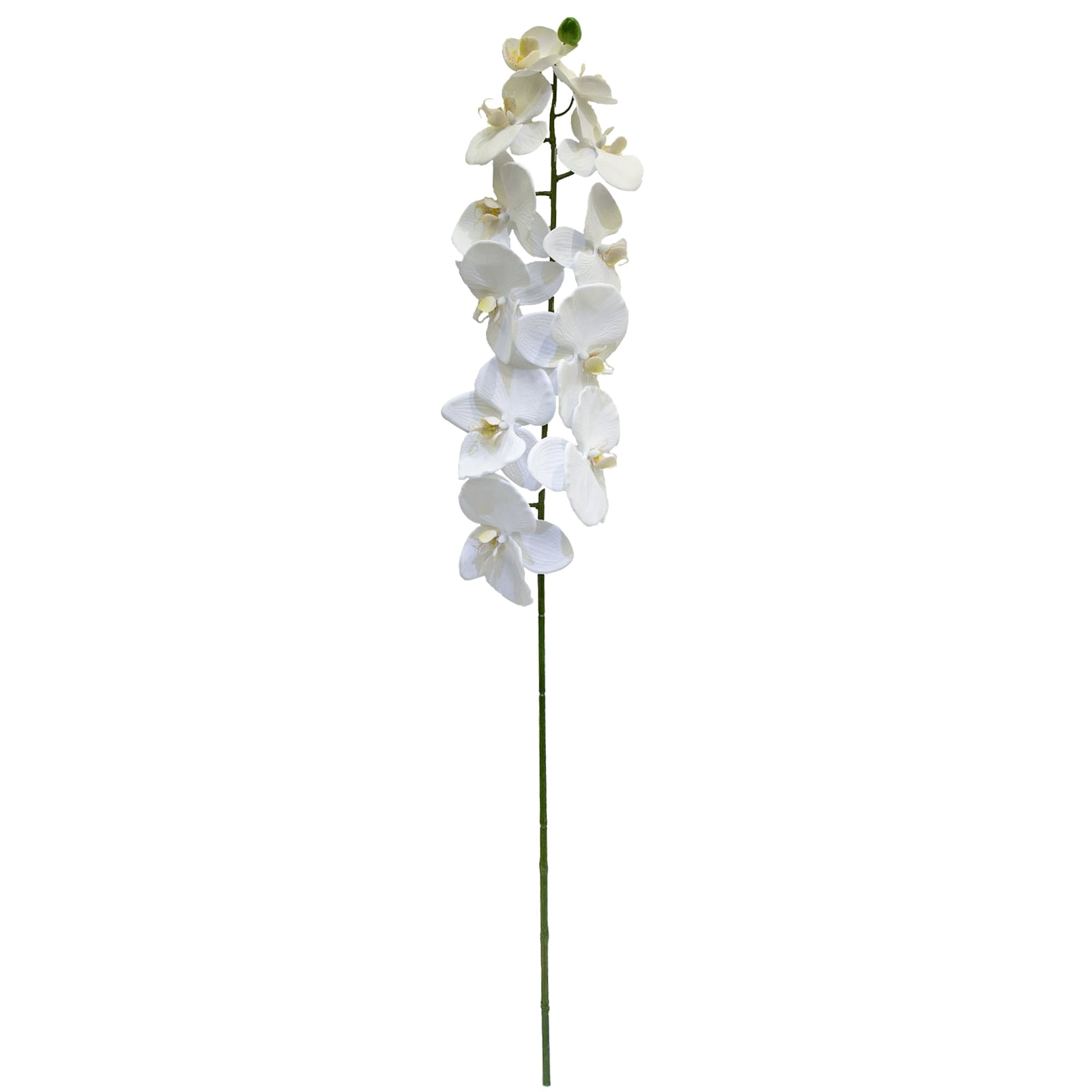 12 Pack: White Orchid Stem by Ashland® - Walmart.com