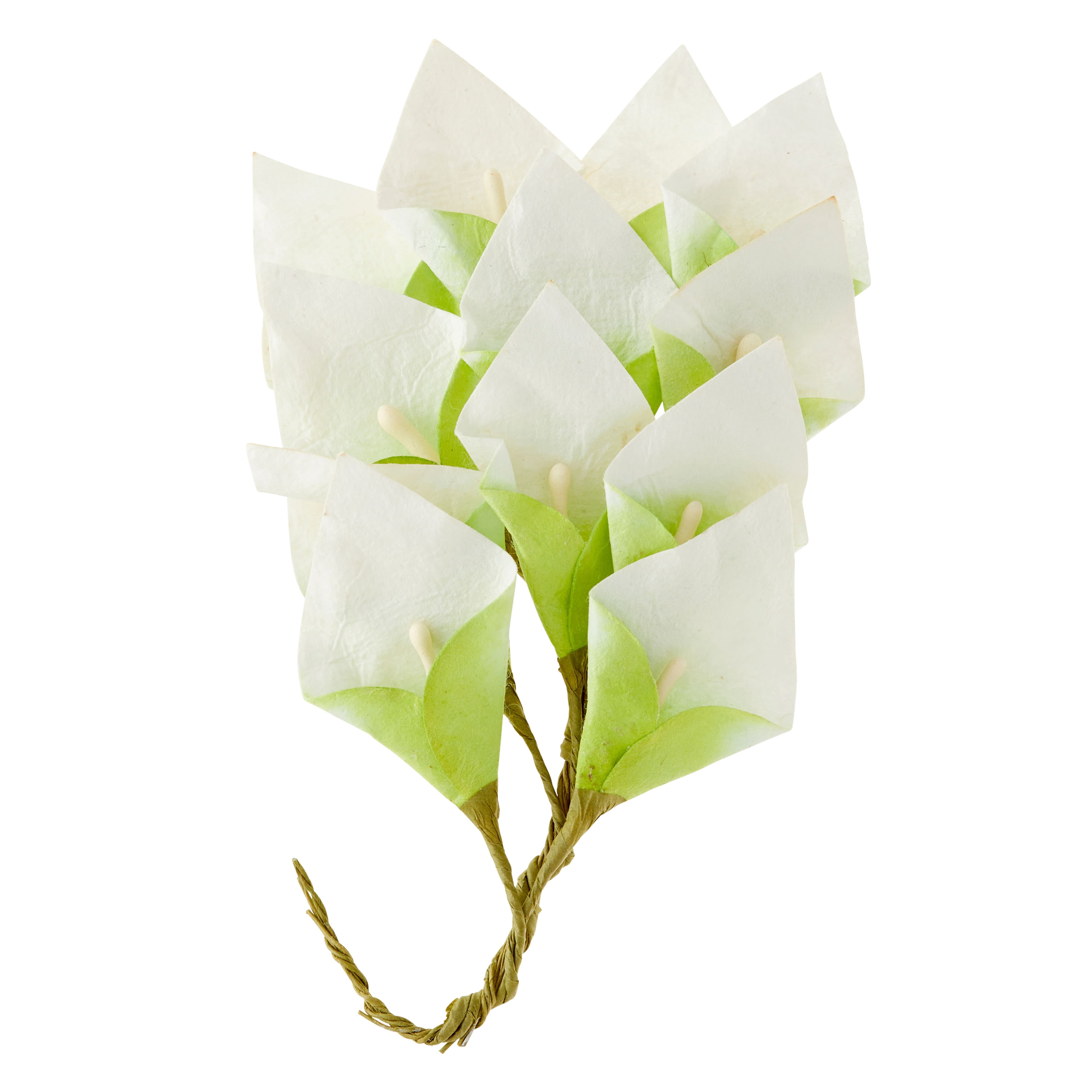 Recollections Calla Lily Paper Flowers, 12 Packs: 12 ct. (144 total ...