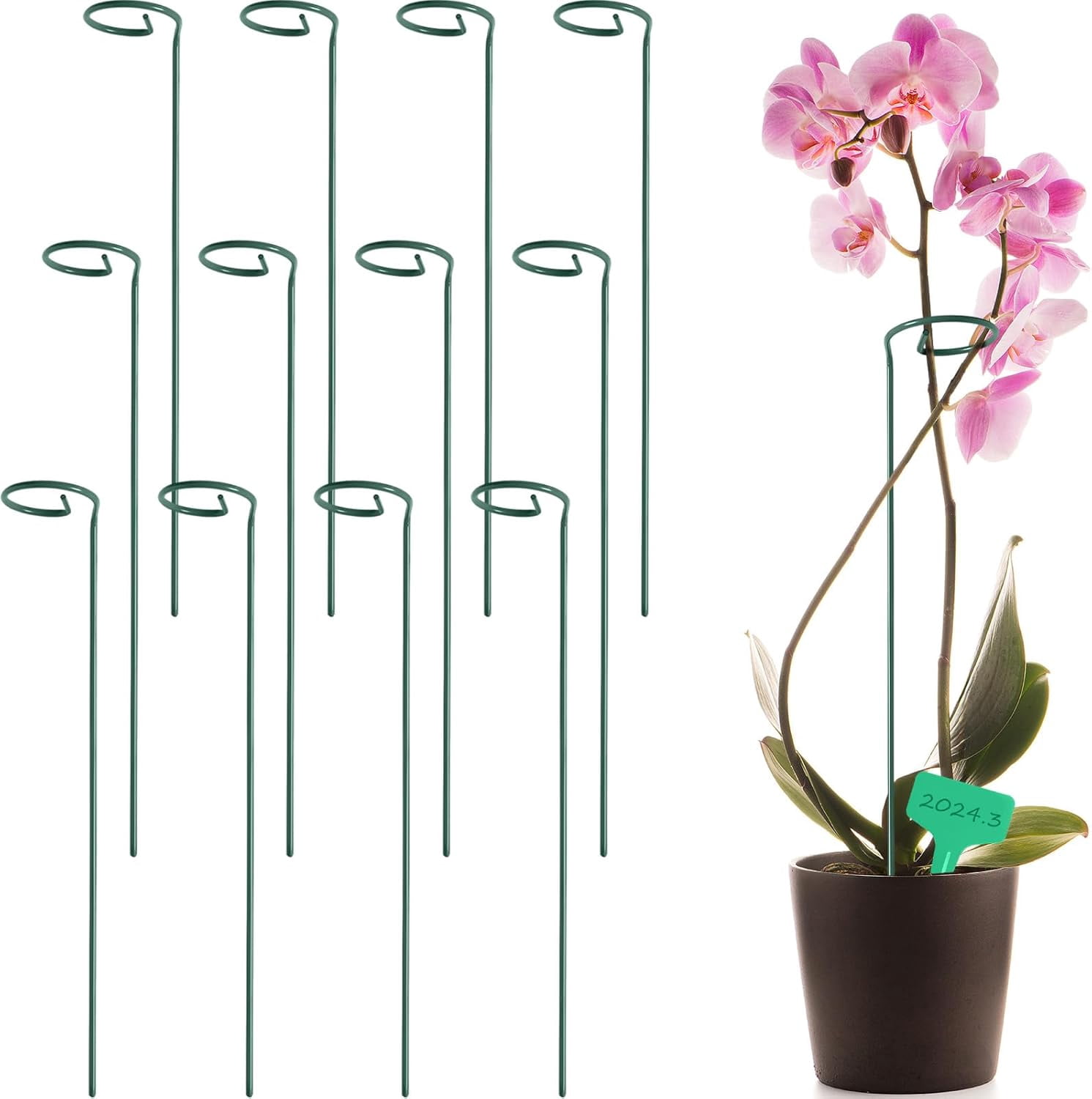 12 Packs 16 Inches Garden Flower Support Plant Support Stakes, with 15 ...