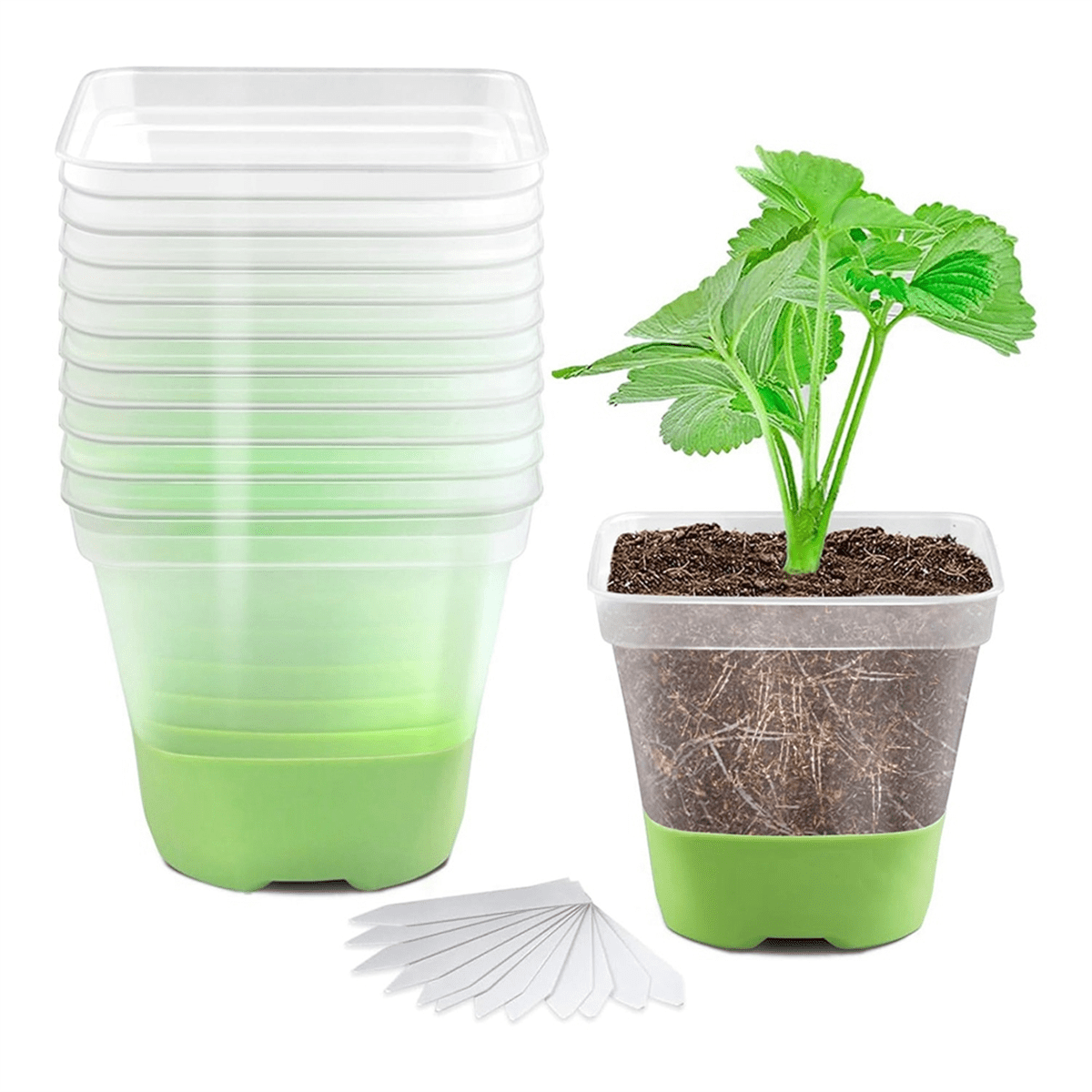12 Packs 3 Inch Square Plastic Nursery Pots, Clear Plant Pot with Soft ...
