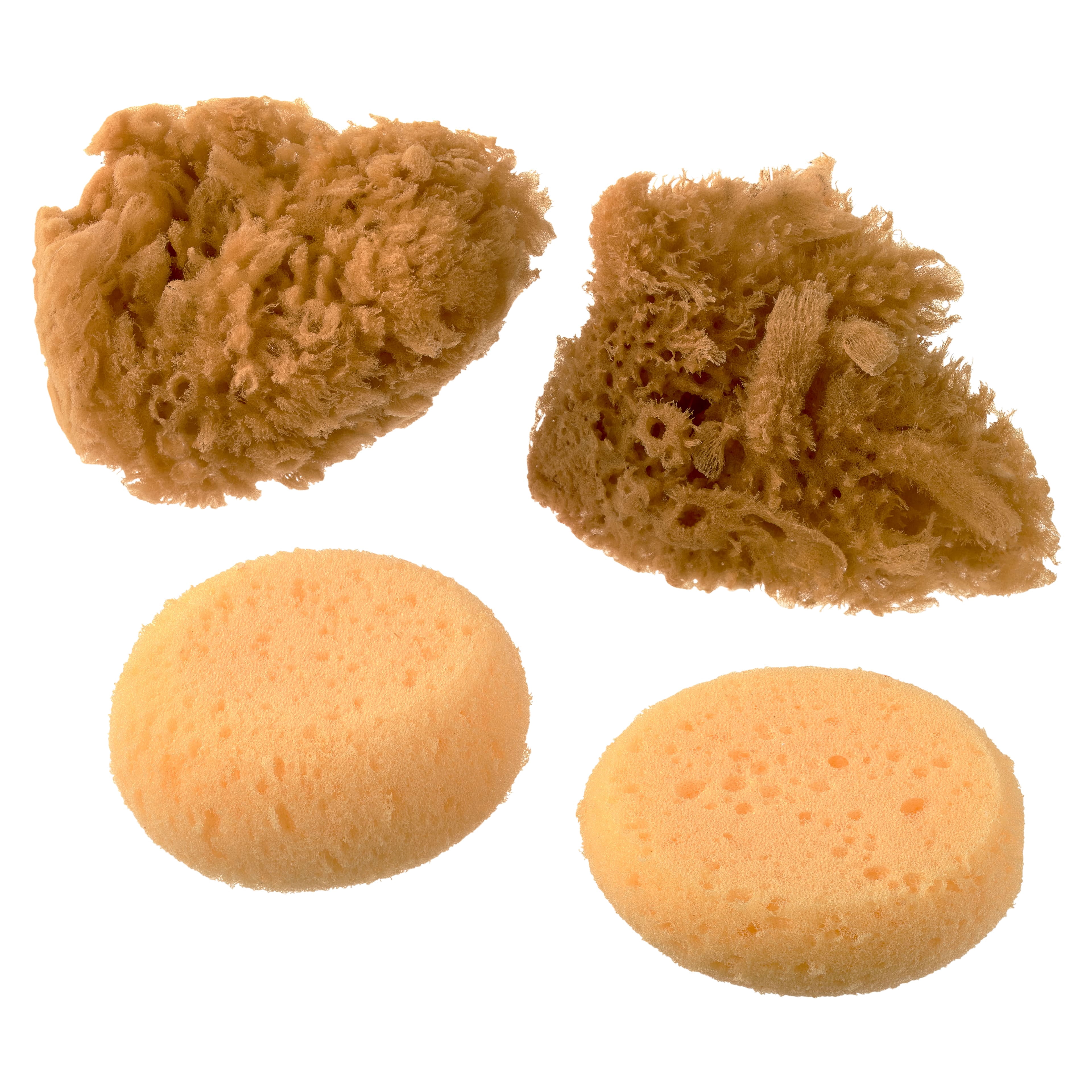 12 Packs: 4 ct. (48 total) Royal & Langnickel® Natural & Synth Sponge ...
