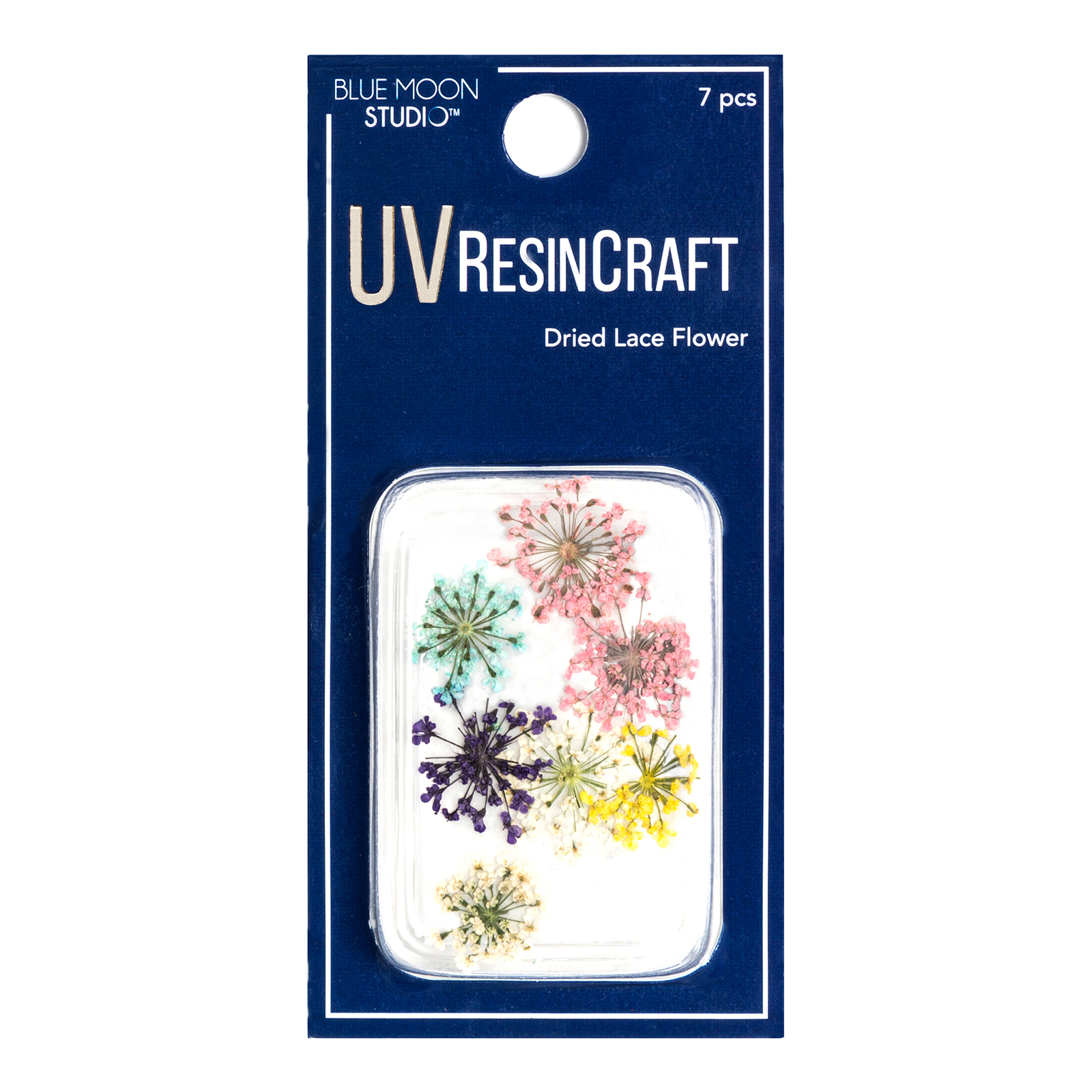 12 Packs: 7 ct. (84 total) Blue Moon Studio™ UV Resin Craft Dried Queen ...