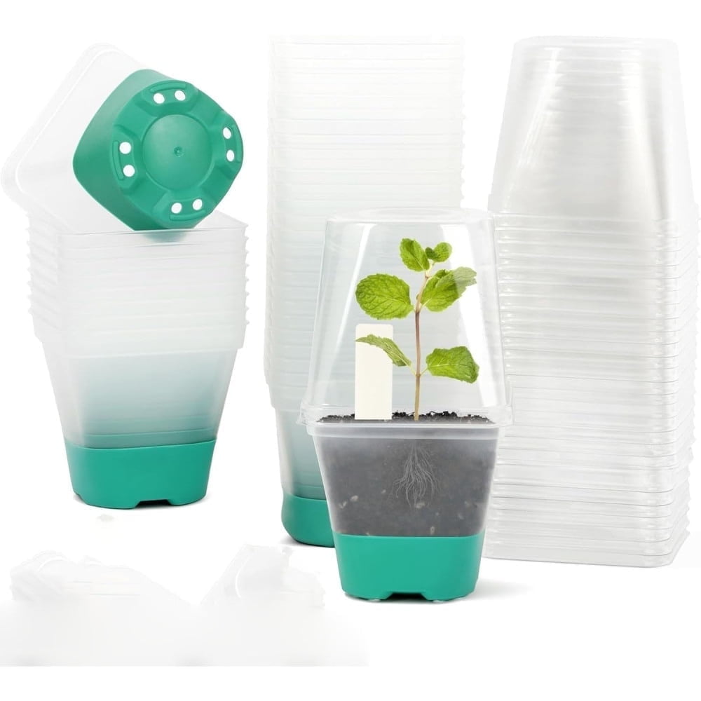 12 Packs Clear Nursery Pots 3 Inch Plastic Plant Pot with Humidity ...