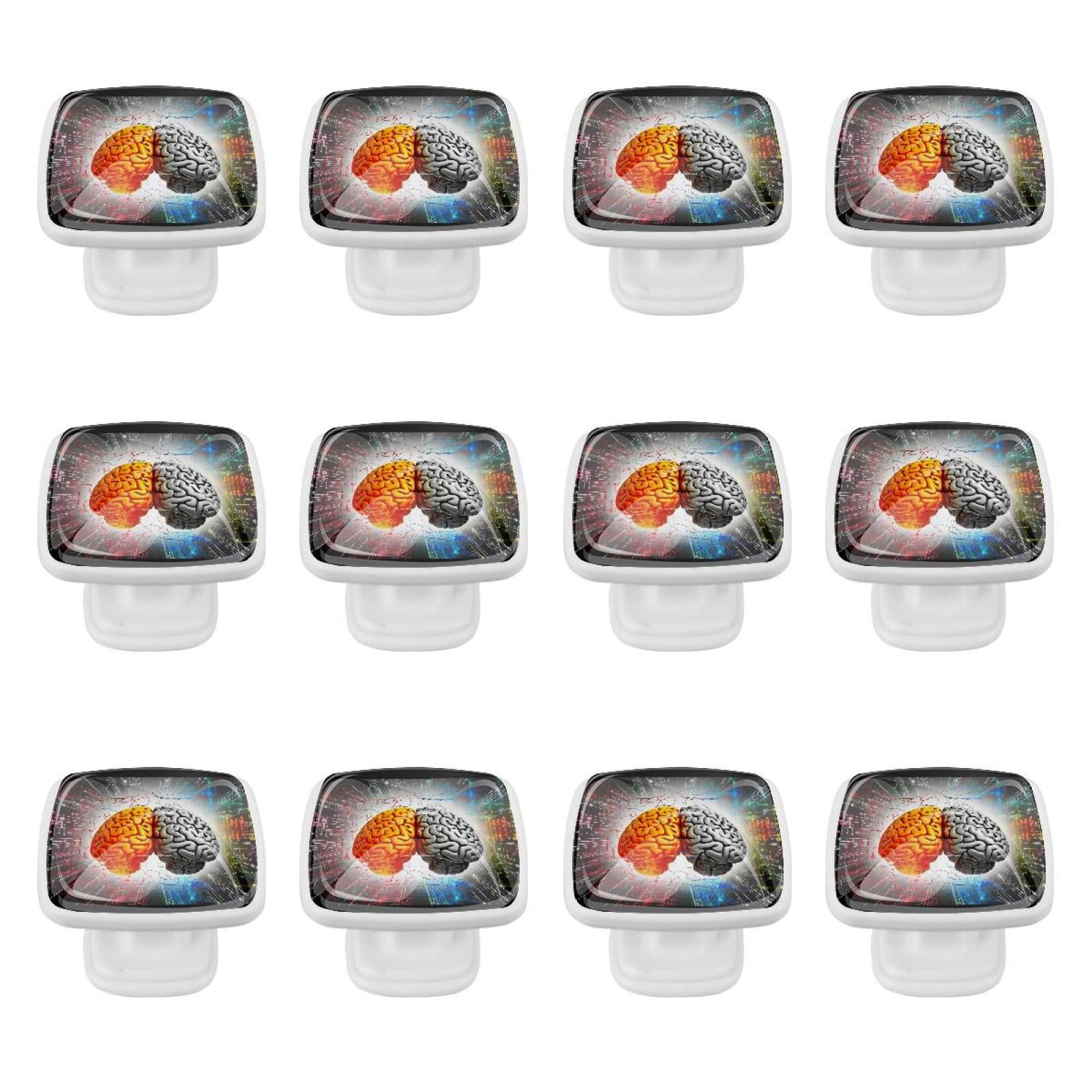 12 Packs Mathematical Engineering Brain Cabinet Knobs- Pull Hardware ...