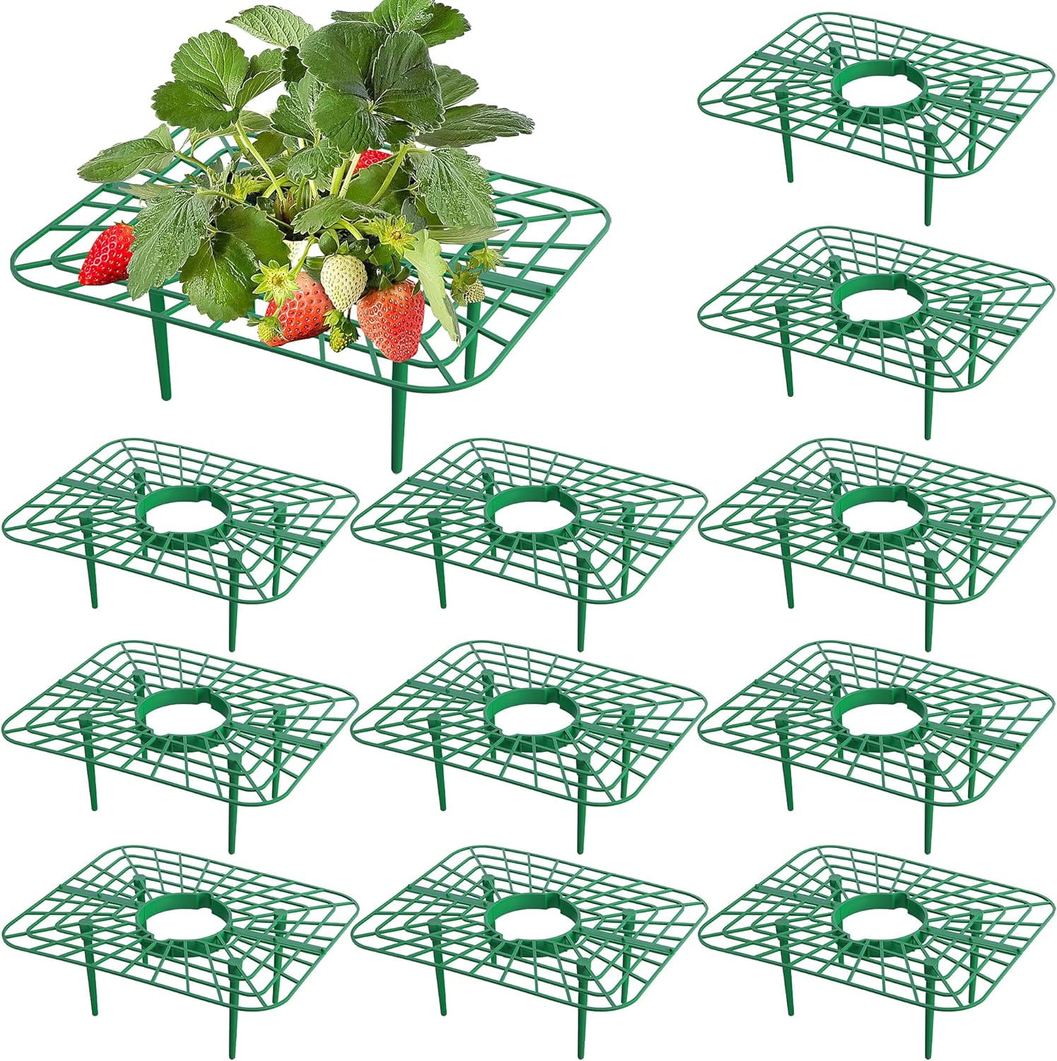 12 Packs Square Strawberry Supports-Strawberry Growing Racks- Plant ...