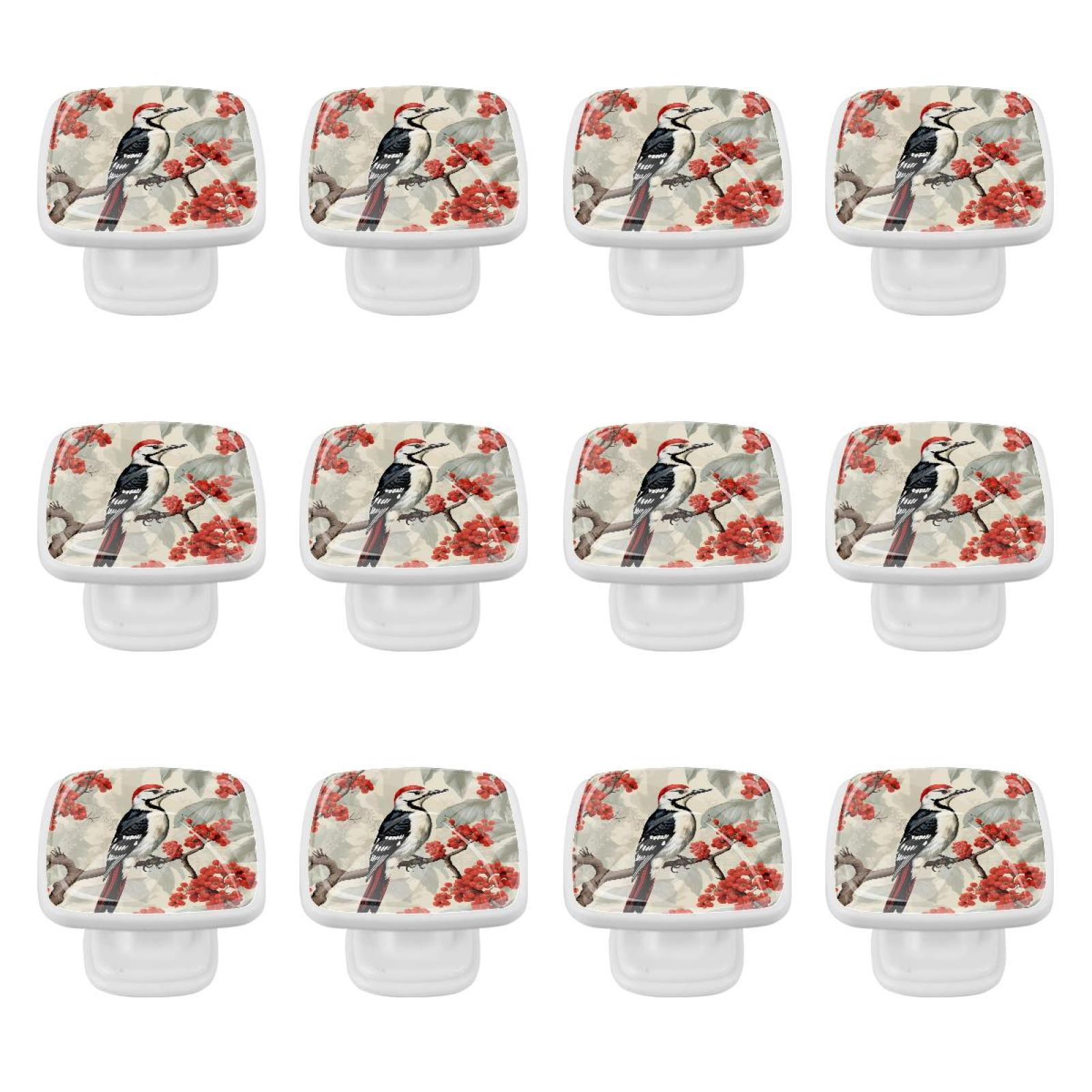 12 Packs Woodpecker Cabinet Knobs- Pull Hardware Handle, Square Drawer knobs for Kitchen ...