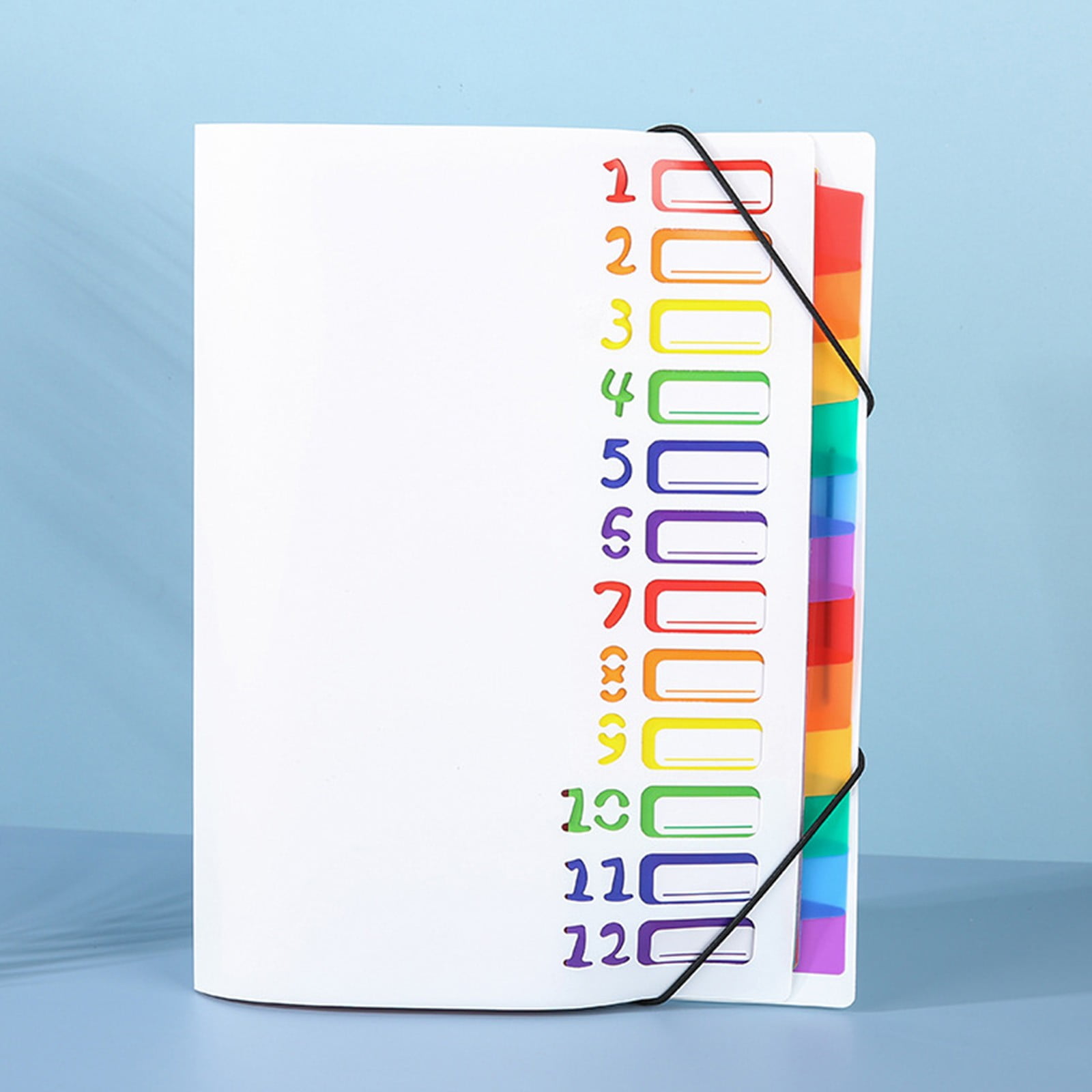 12-Page Rainbow Classification File Storage, Accordion Design for ...