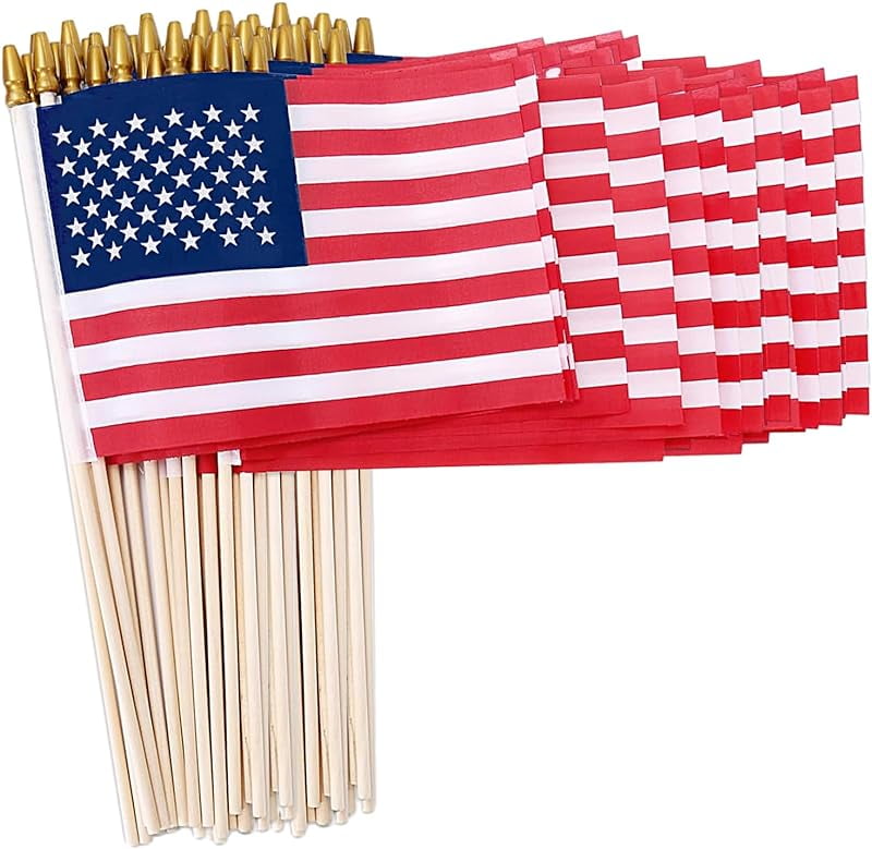 12 Pcs 8x12 Inch Small American Flags on Sticks, Handheld US Flags ...