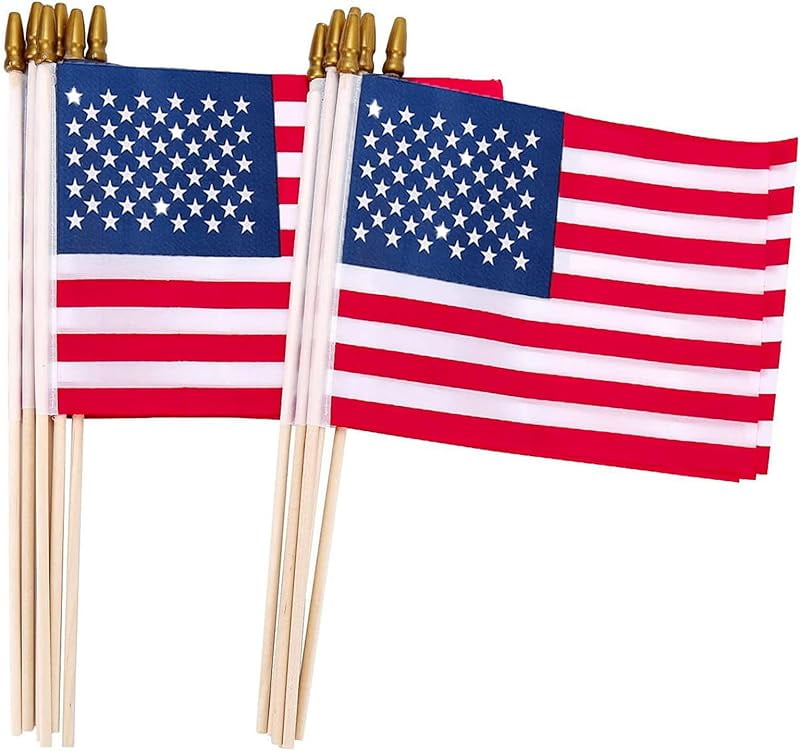 12 Pcs 8x12 Inch Small American Flags on Sticks, Handheld US Flags ...