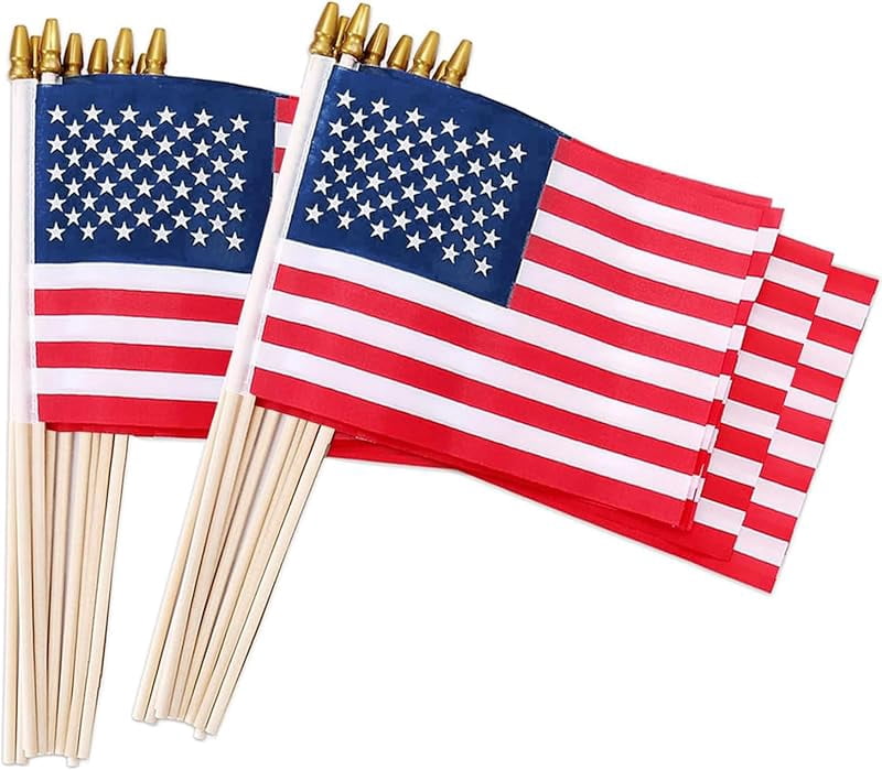 12 Pcs 8x12 Inch Small American Flags on Sticks, Handheld US Flags ...