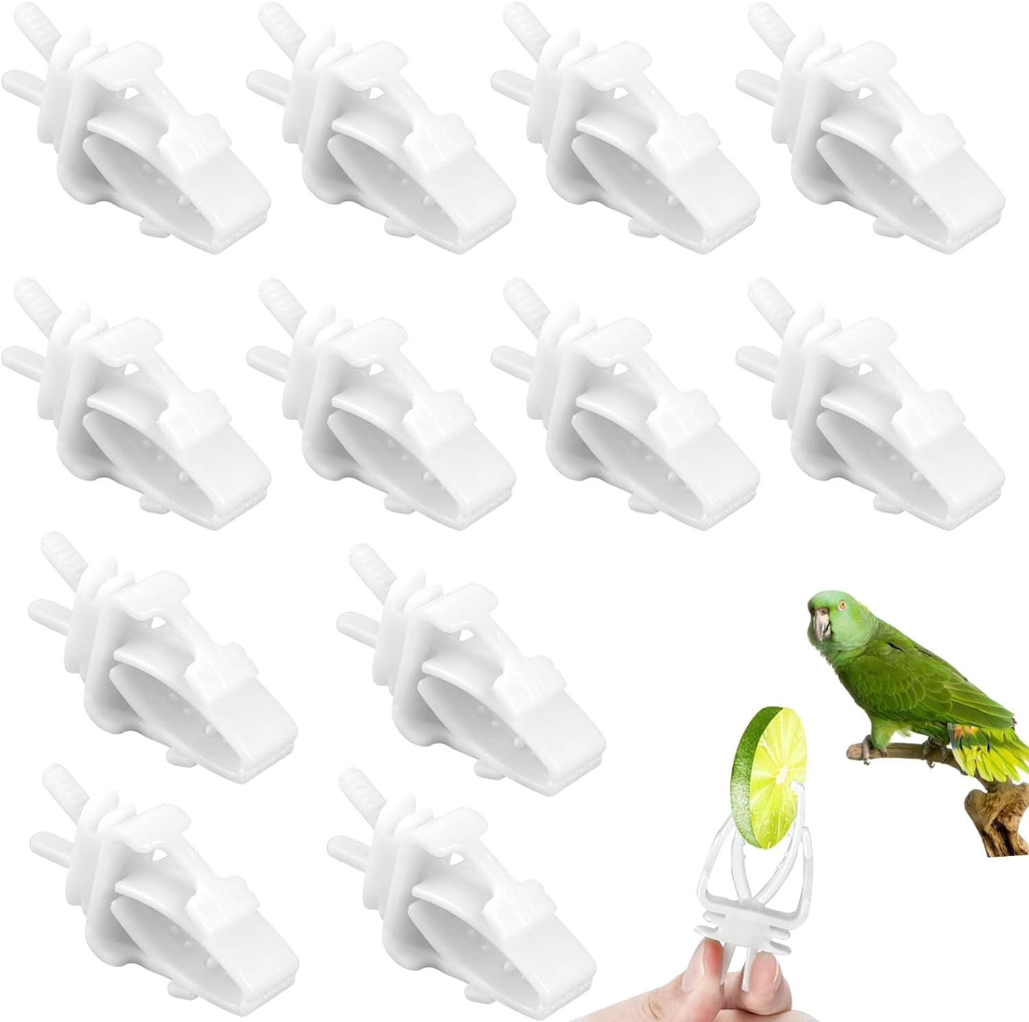 12 Pcs Bird Cage Clips Bird Cage Food Holder Parrot Fruit Vegetable ...