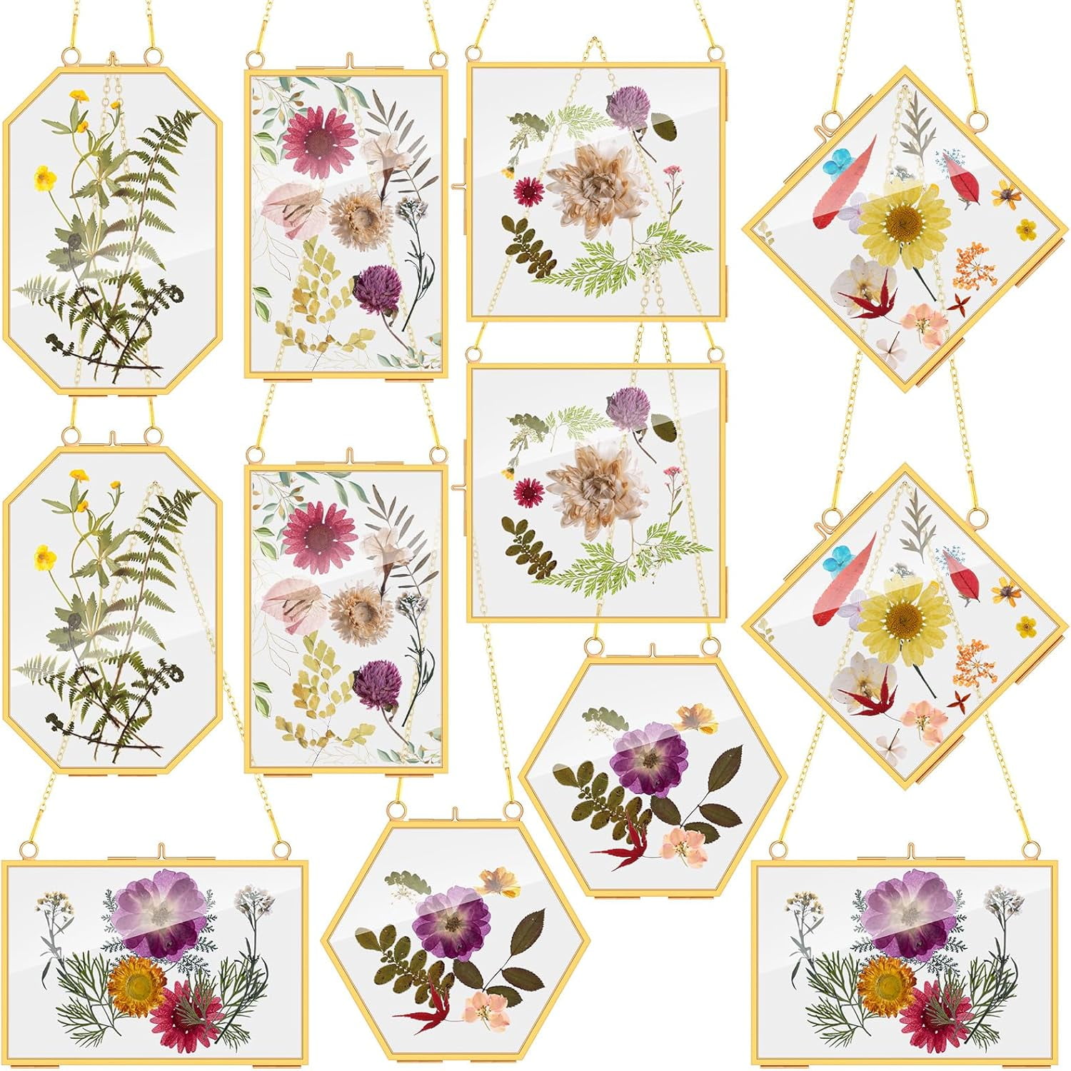 12 Pcs Brass Glass Frame for Pressed Flowers with Chain Clear Double ...