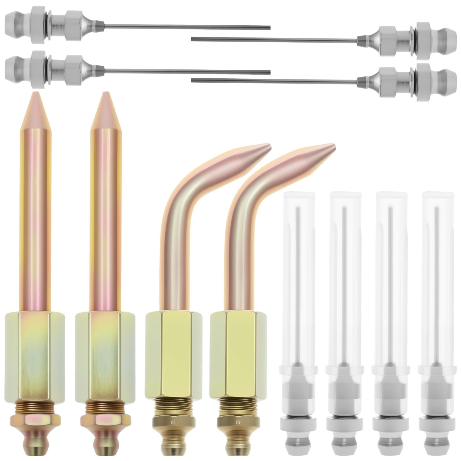 12 Pcs Carbon Steel Grease Needle Tip Kit Bent and Straight Nozzles ...