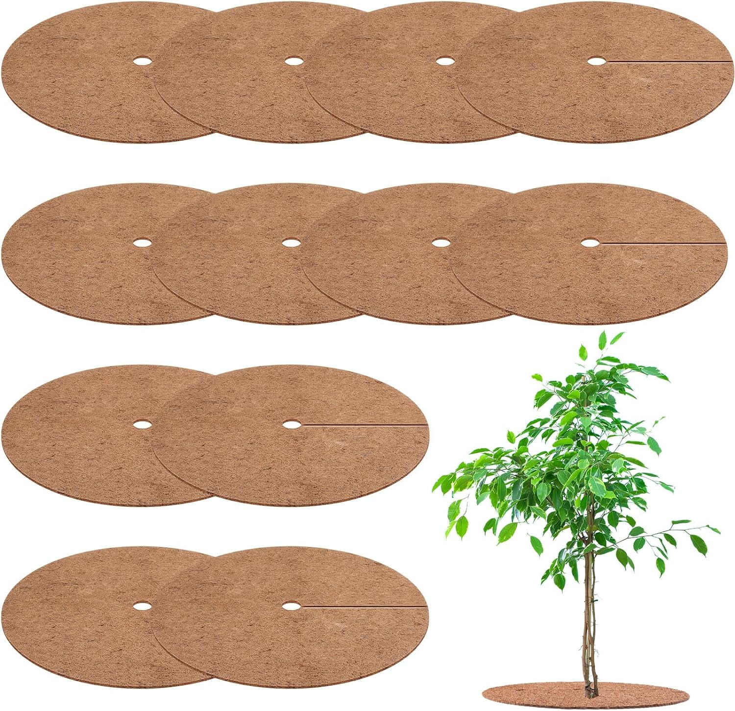 12 Pcs Coconut Fibers Mulch Ring Tree Protector Mat, Natural Coir Tree ...