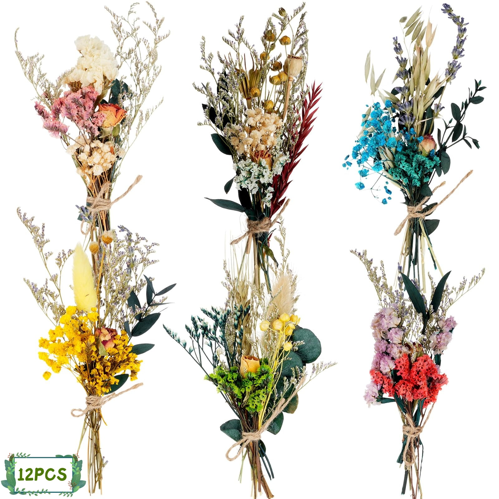 12 Pcs Dried Flower MODANU Natural Dried Floral Plant Mini Bouquet ...