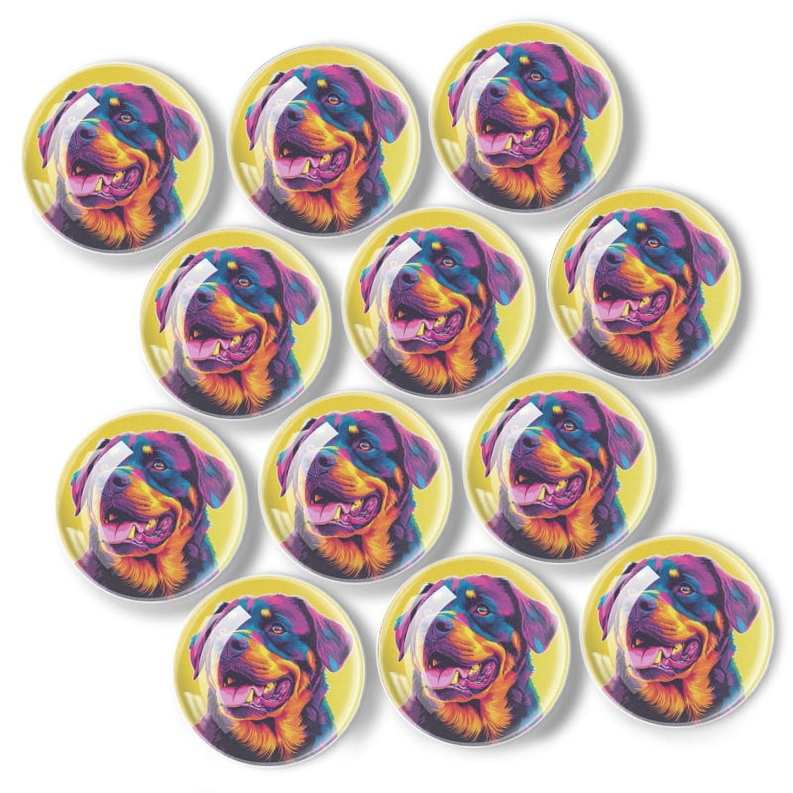 12 Pcs Glass Refrigerator Magnet Magnetic Fridge Sticker,Decor for ...