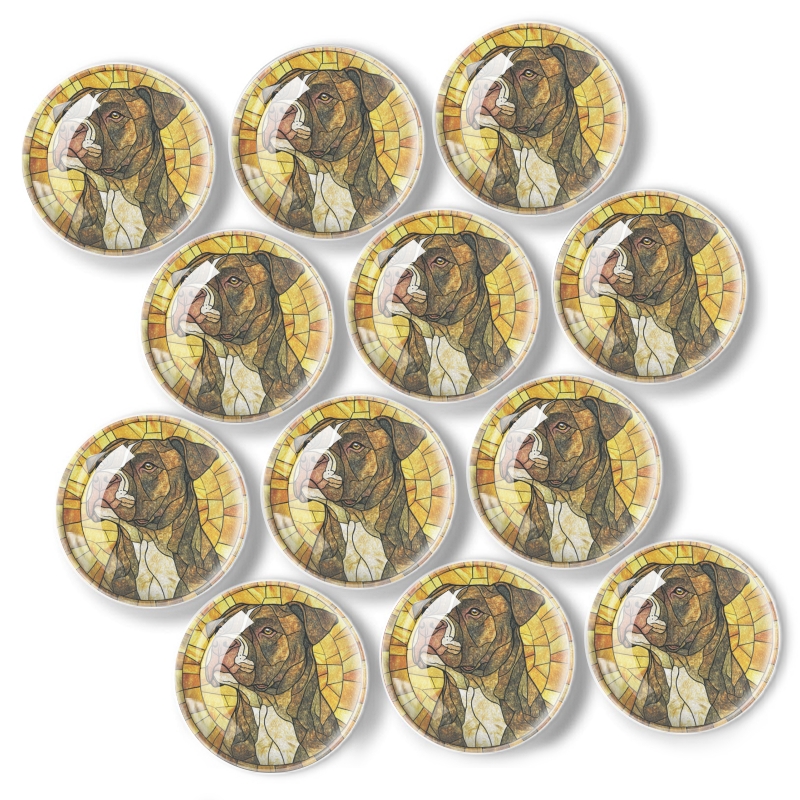 12 Pcs Glass Refrigerator Magnet Magnetic Fridge Sticker,Decor for ...