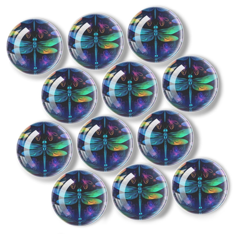 12 Pcs Glass Refrigerator Magnet Magnetic Fridge Sticker,Decor for ...