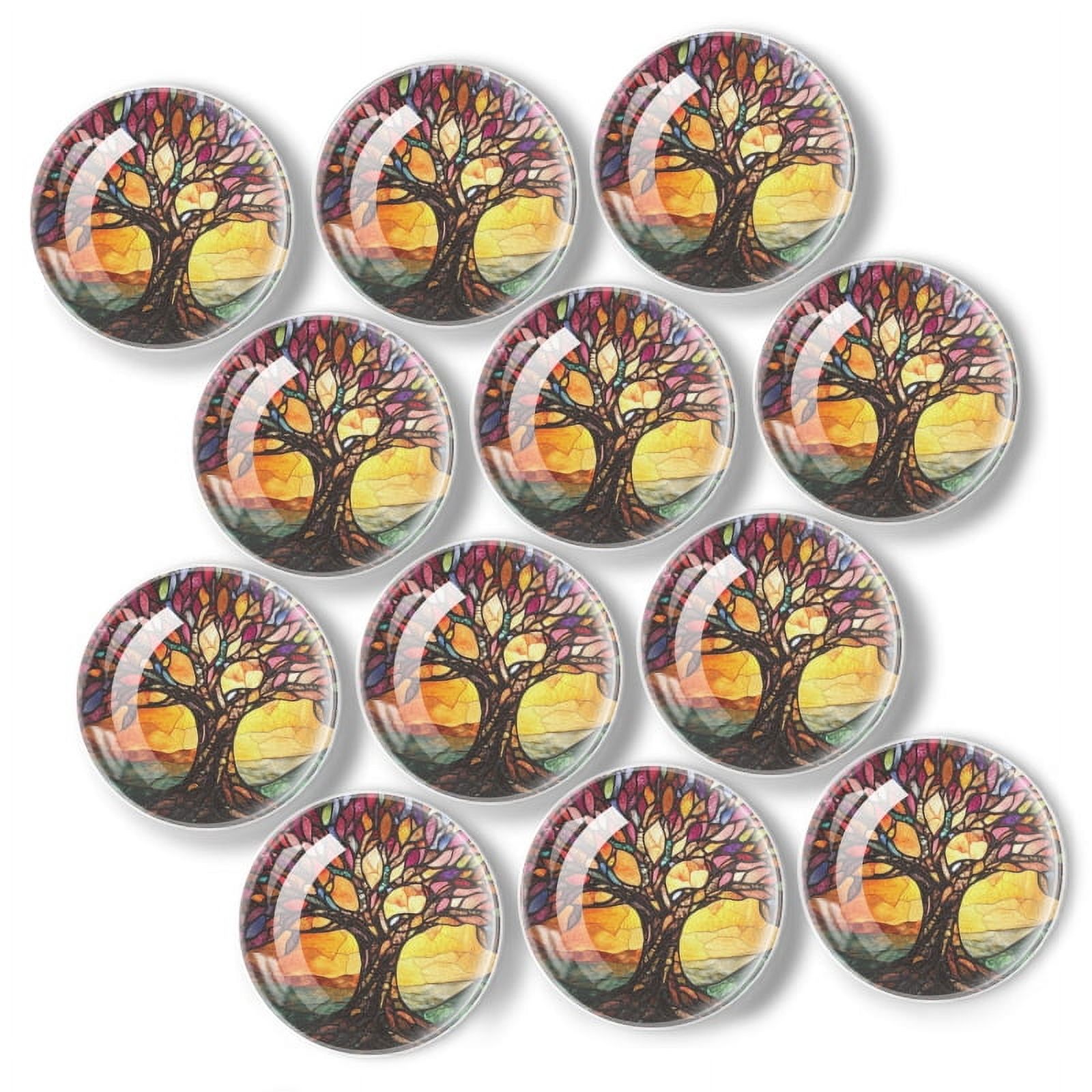 12 Pcs Glass Refrigerator Magnet Magnetic Fridge Sticker,Decor for ...