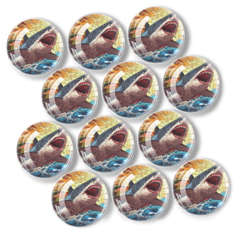 12 Pcs Glass Refrigerator Magnet Magnetic Fridge Sticker,Decor for ...