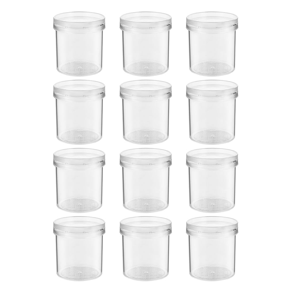 12 Pcs Insect Rearing Box Toy Basket Strainer Wicker Earring Display ...