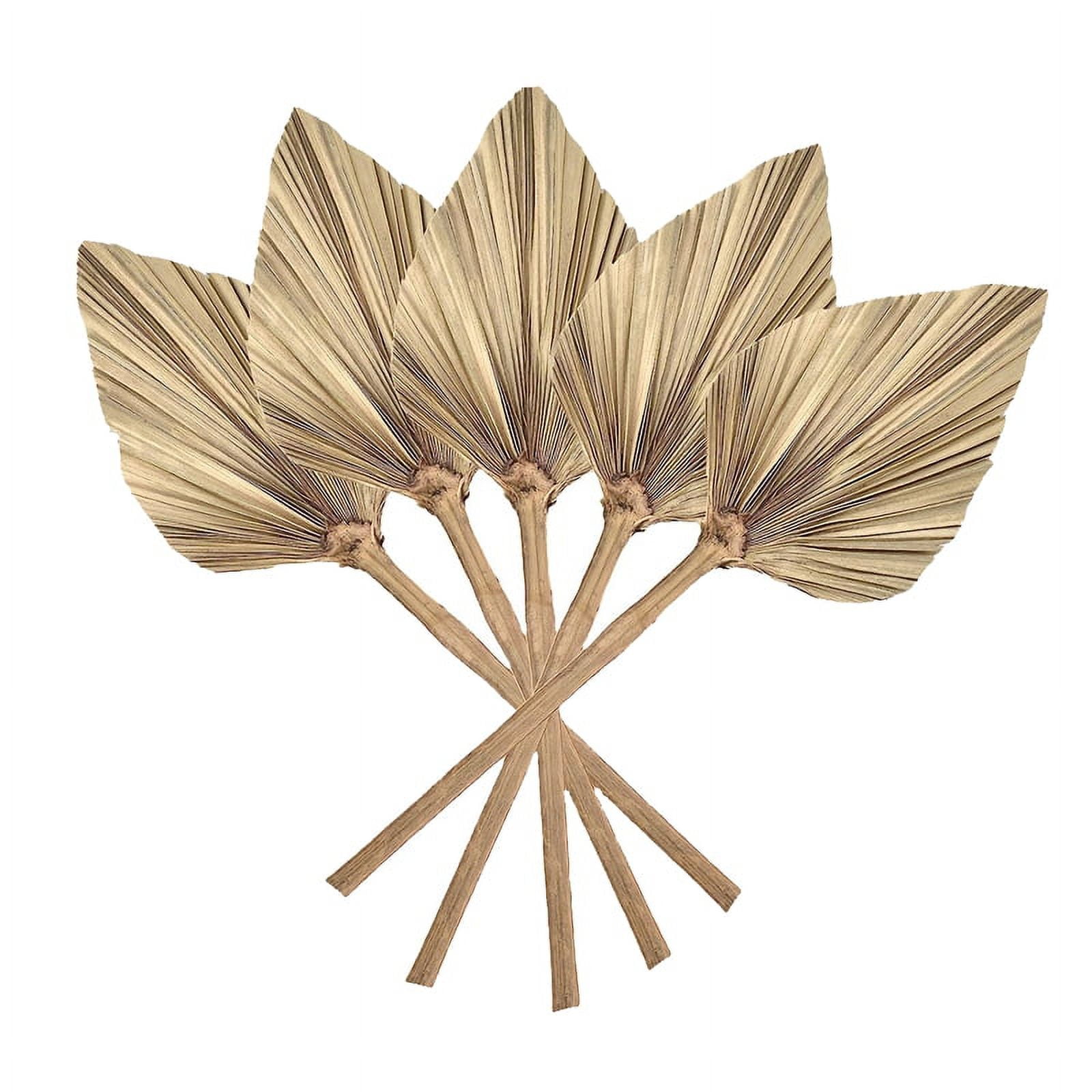 12 Pcs Natural Dried Palm Leaves Decor Boho Dried Leaf - Walmart.com