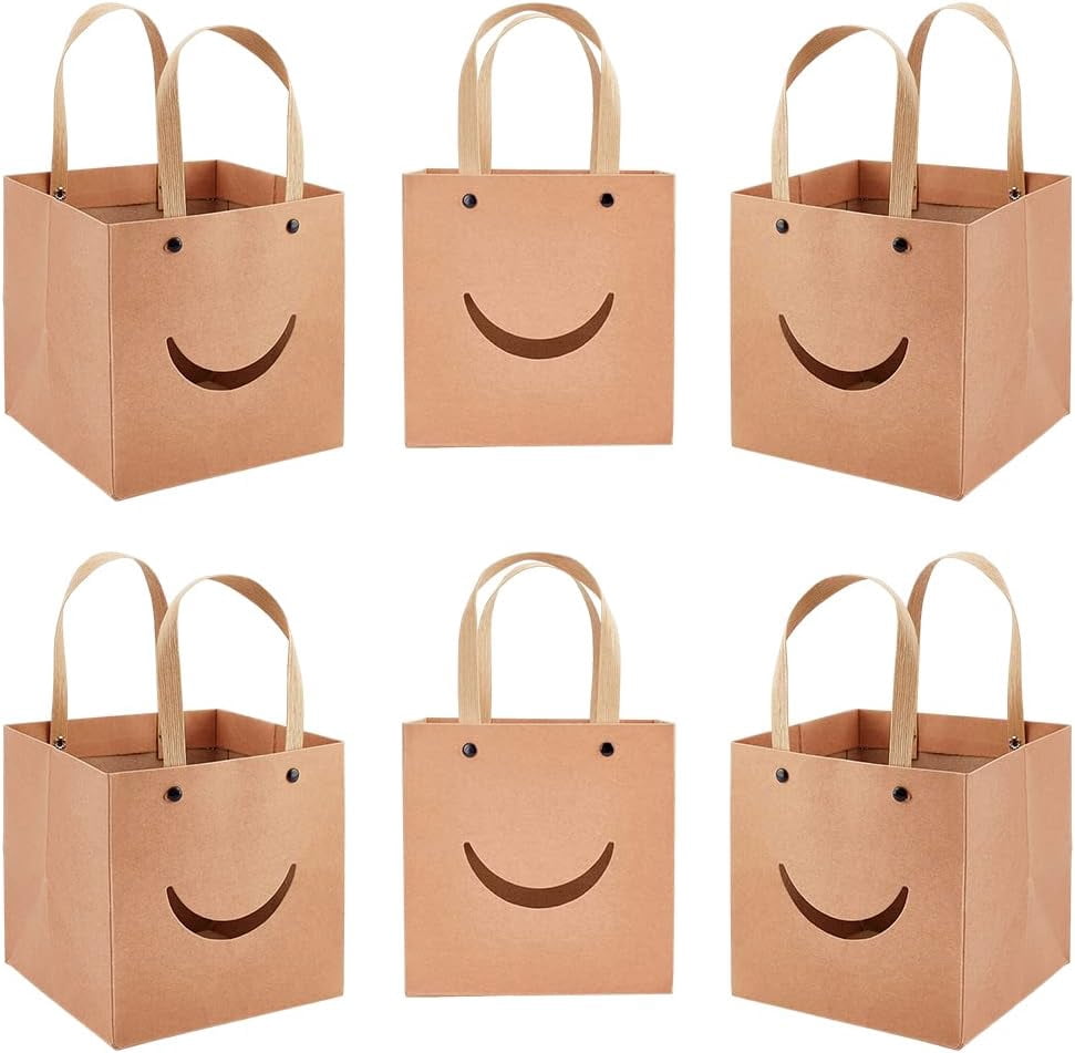 12 Pcs Peru Craft Paper Bags 5.9x5.9 Carrier Paper Gift Bags With ...
