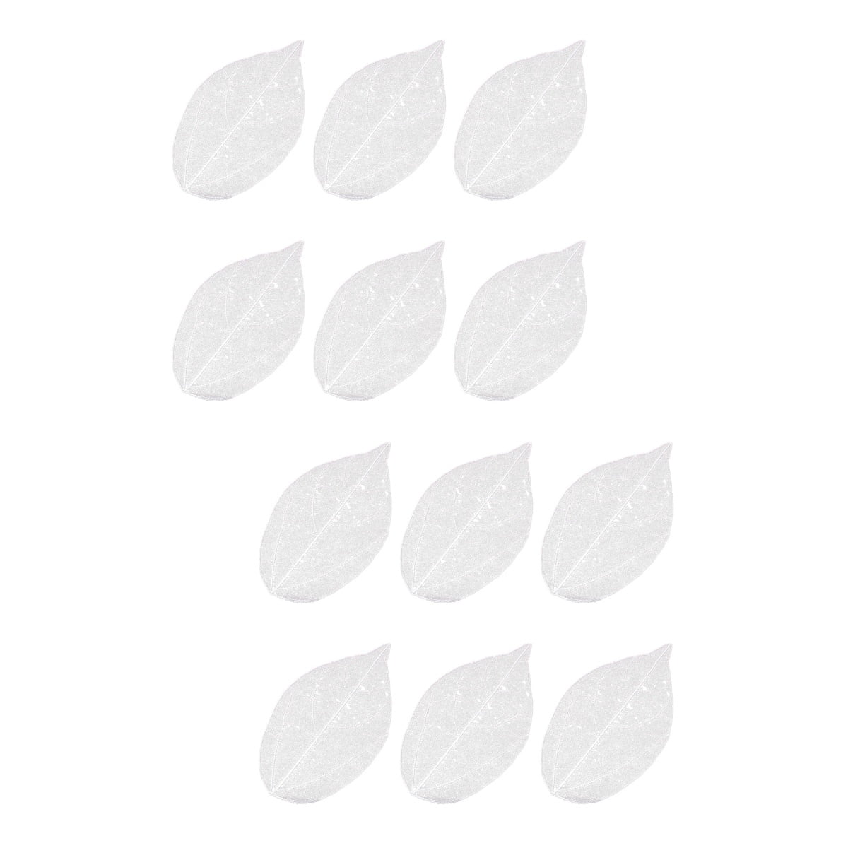 12 Pcs Pressed Flower Bookmark Leaves for Craft Project Skeleton ...