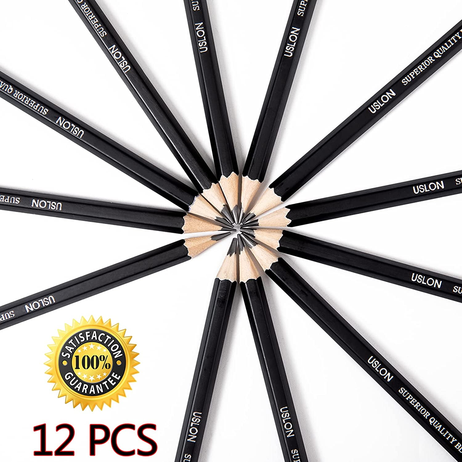 12 Pcs Professional Drawing Sketch Pencils - Professional Graphite ...
