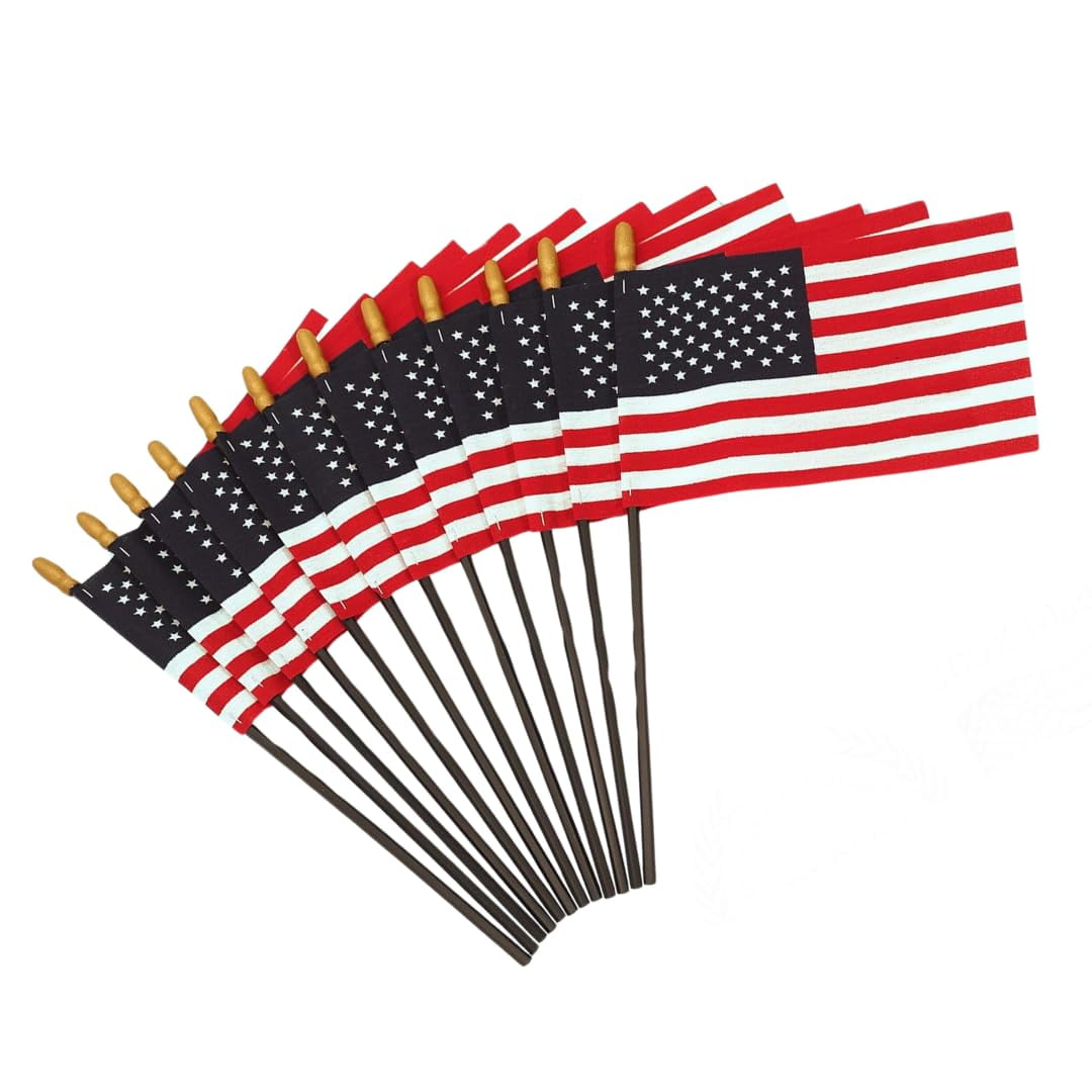 12 Pcs Small American Flags on Stick - 4x6 Mini USA Flags Fourth of ...
