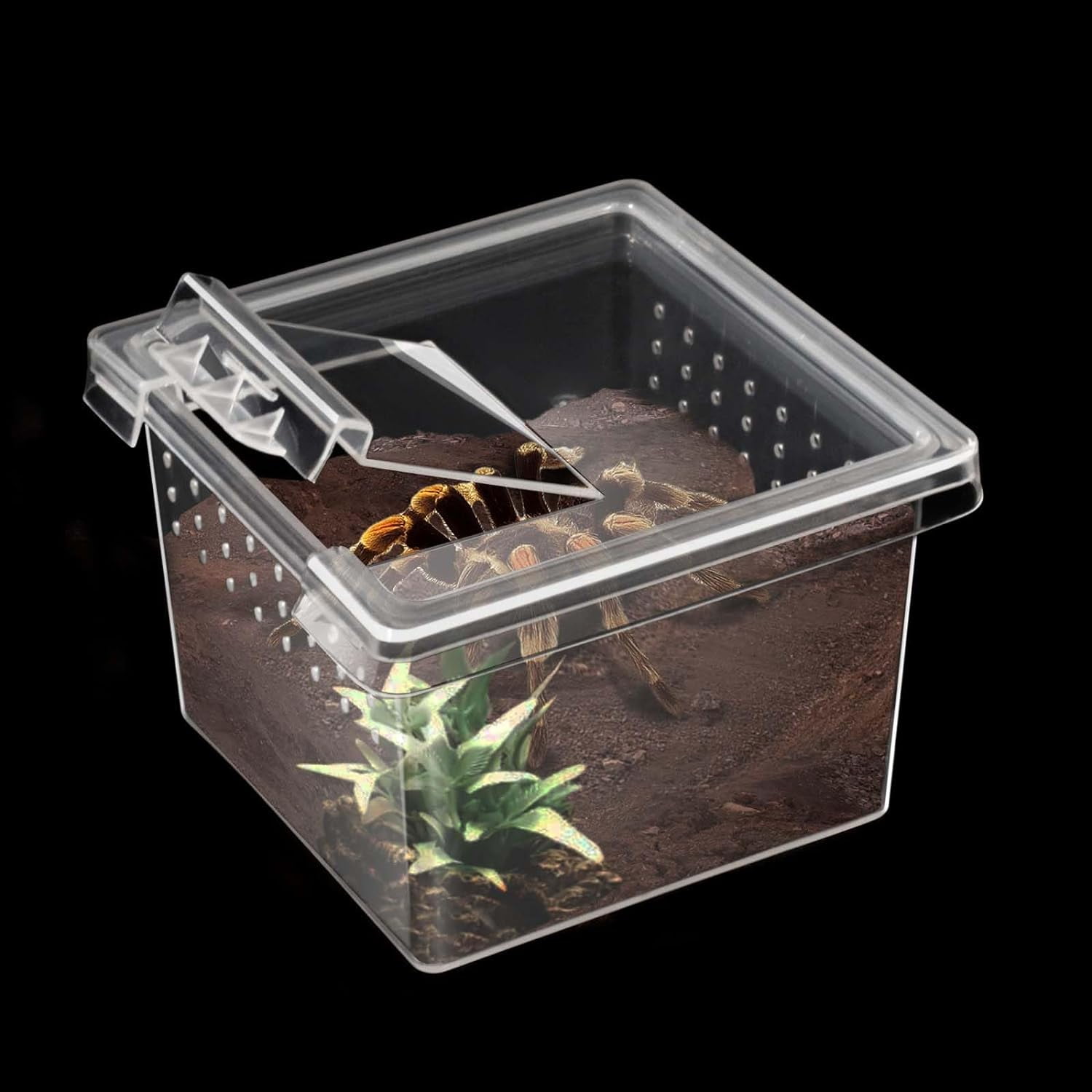 12 Pcs Tarantula Enclosure Jumping Spider Terrariums Breeding Box ...